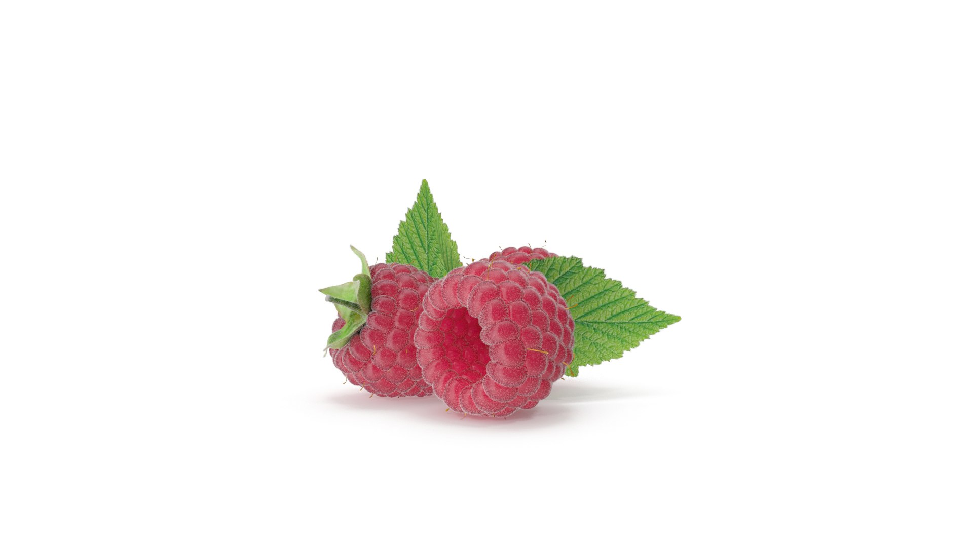 Realistic Raspberry 3D Model - TurboSquid 2016355