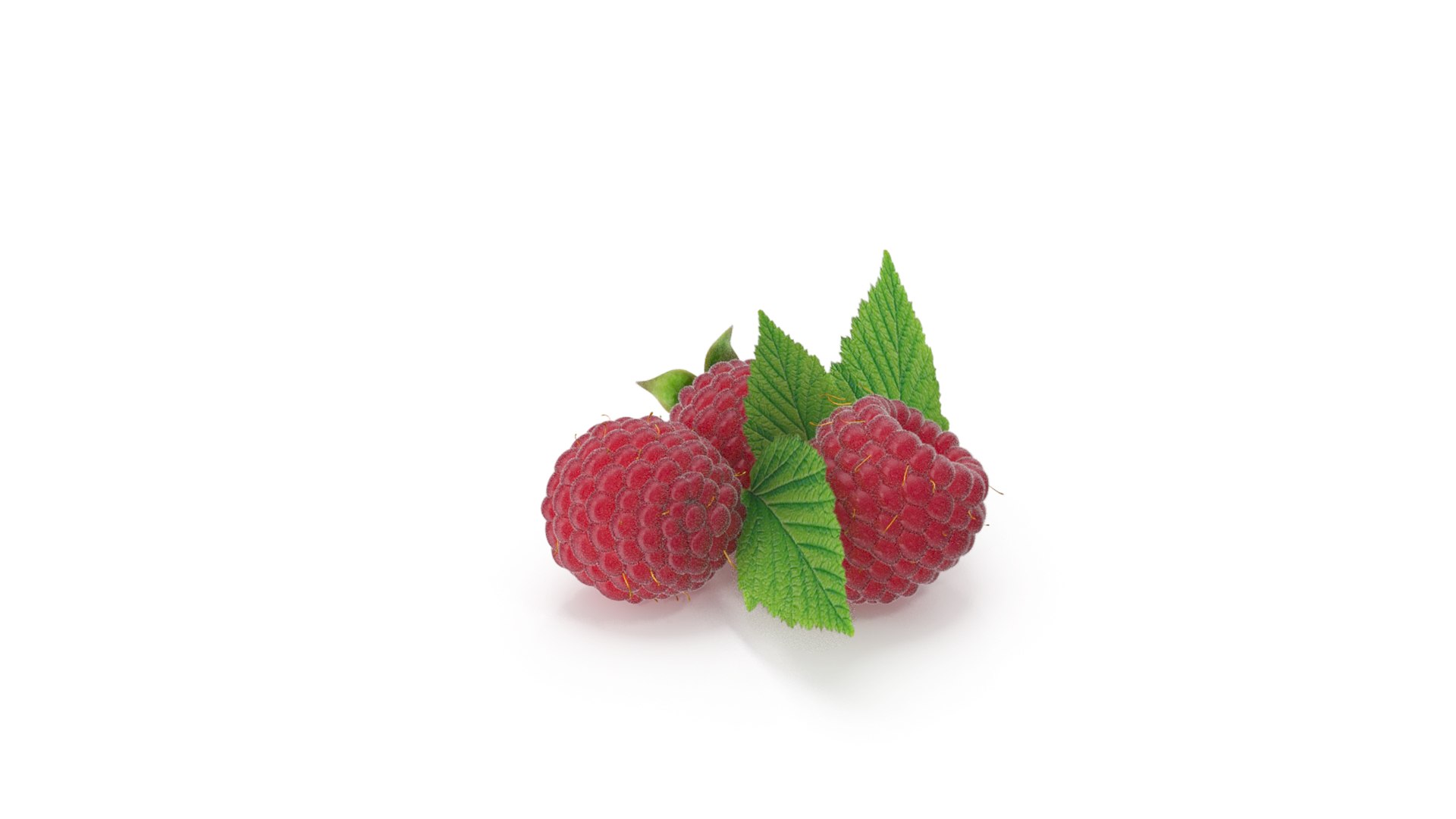 Realistic Raspberry 3D Model - TurboSquid 2016355