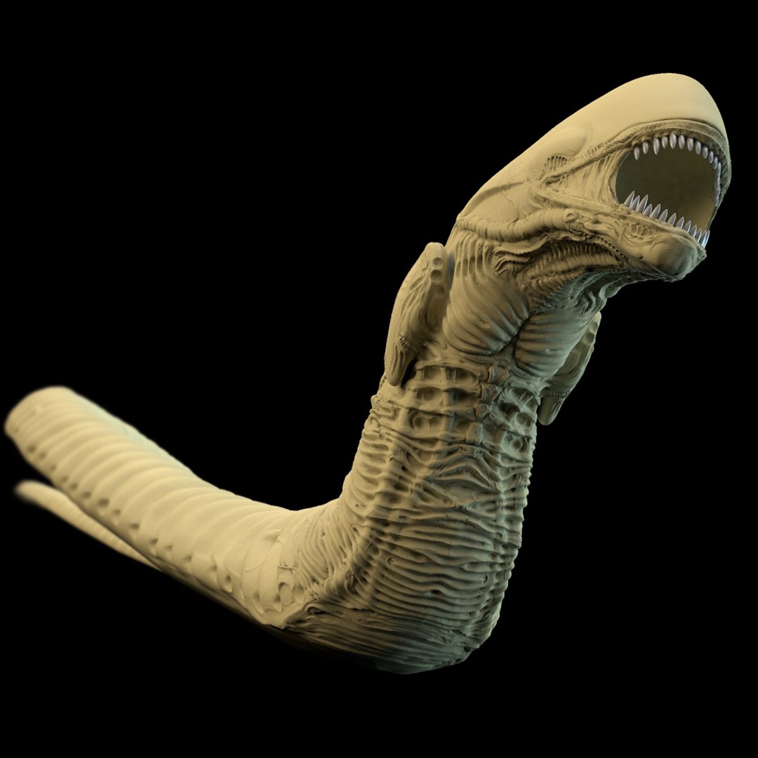 3d Chestburster Alien Model