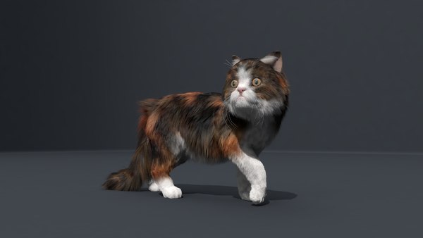 3D cat rigged fur animate - TurboSquid 1489554
