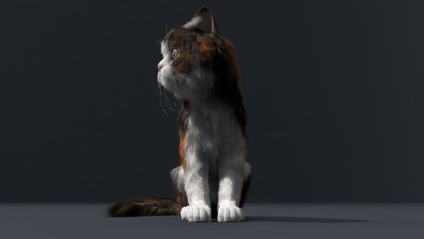 3D cat rigged fur animate - TurboSquid 1489554