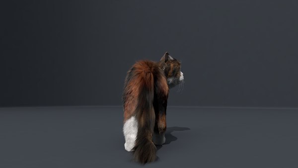 3D cat rigged fur animate - TurboSquid 1489554