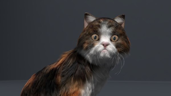 3D cat rigged fur animate - TurboSquid 1489554
