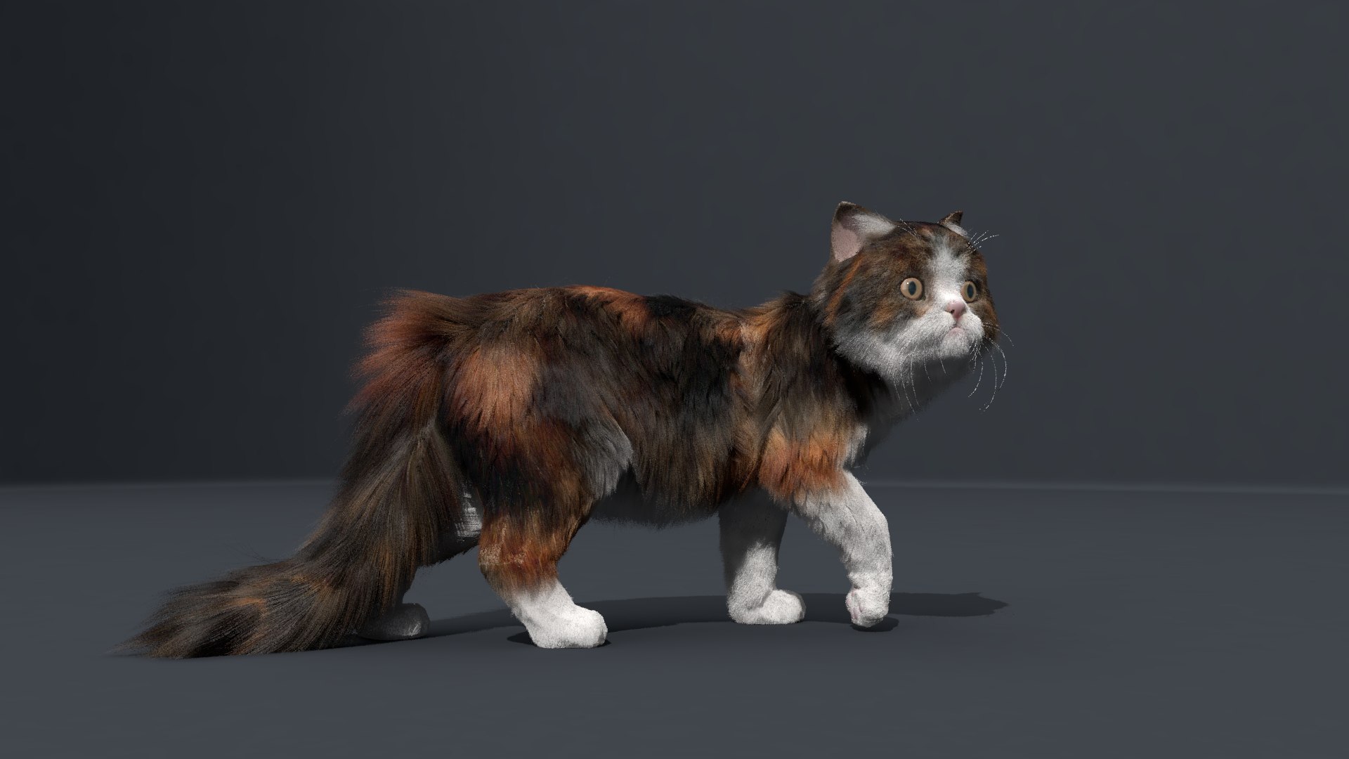 3D Cat Rigged Fur Animate - TurboSquid 1489554