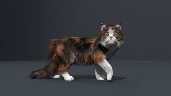 3D cat rigged fur animate - TurboSquid 1489554