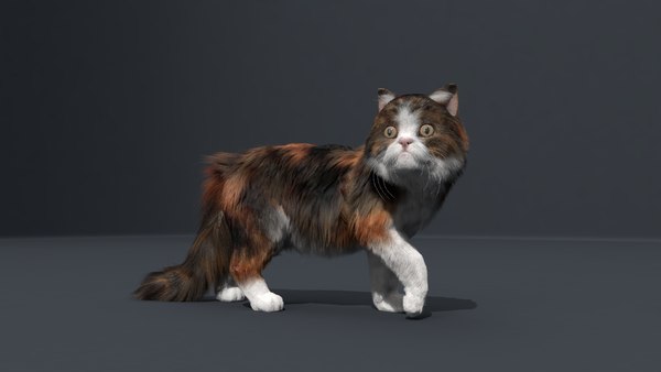 3D cat rigged fur animate - TurboSquid 1489554
