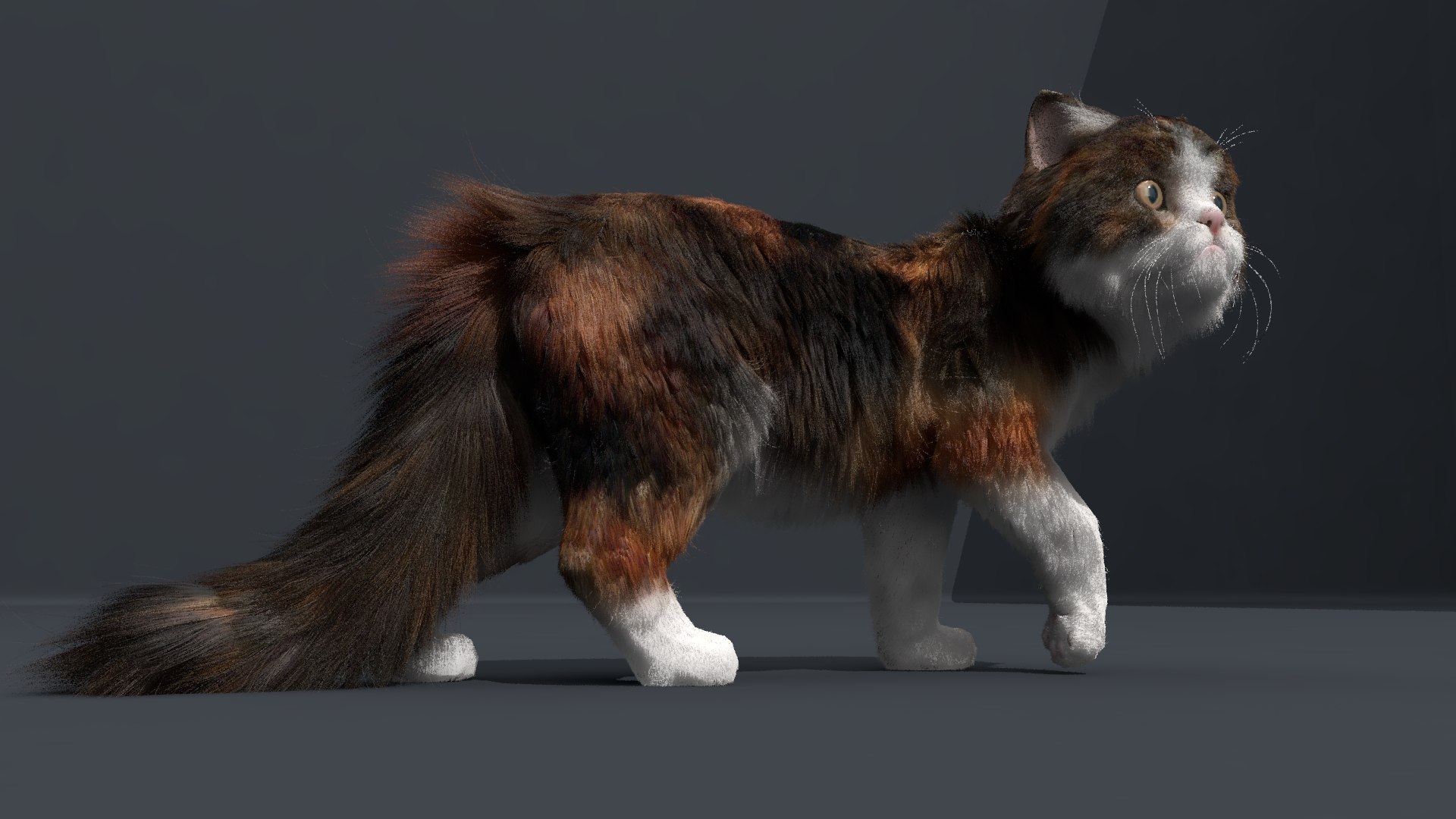 3D Cat Rigged Fur Animate - TurboSquid 1489554