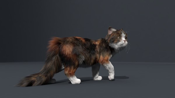 3D cat rigged fur animate - TurboSquid 1489554