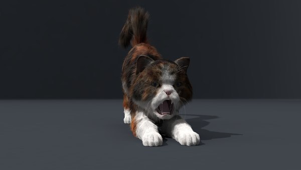 3D cat rigged fur animate - TurboSquid 1489554