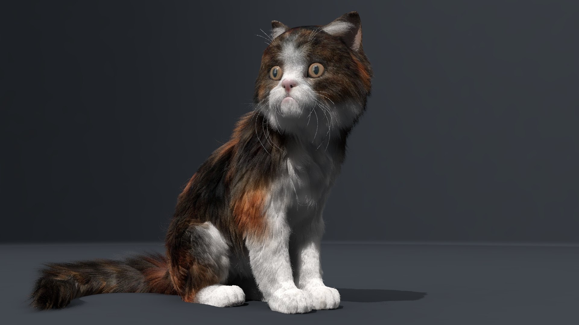 3D Cat Rigged Fur Animate - TurboSquid 1489554