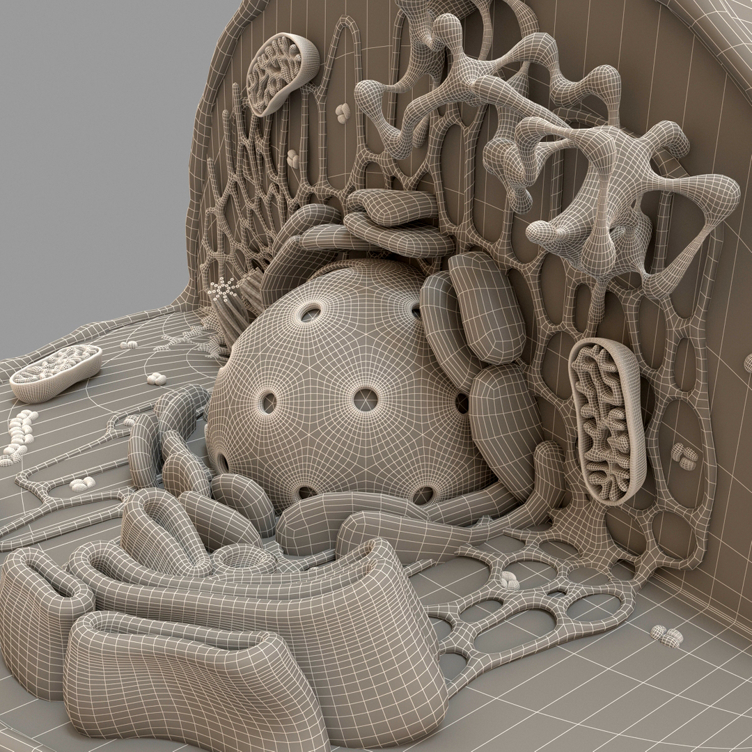 3d model cell
