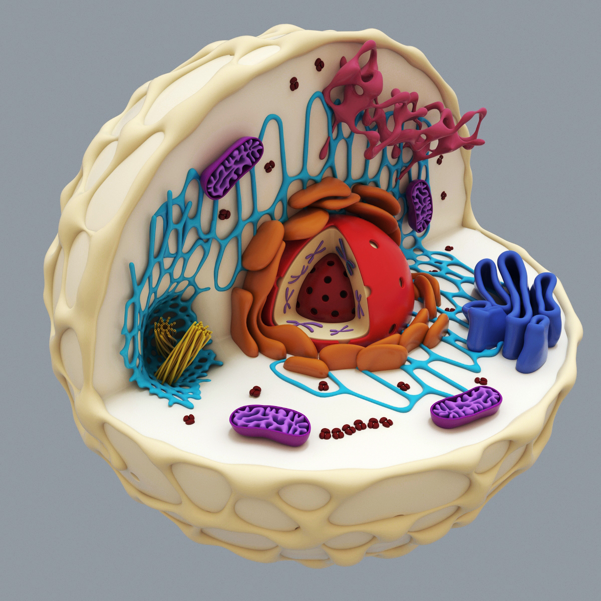 3d model cell