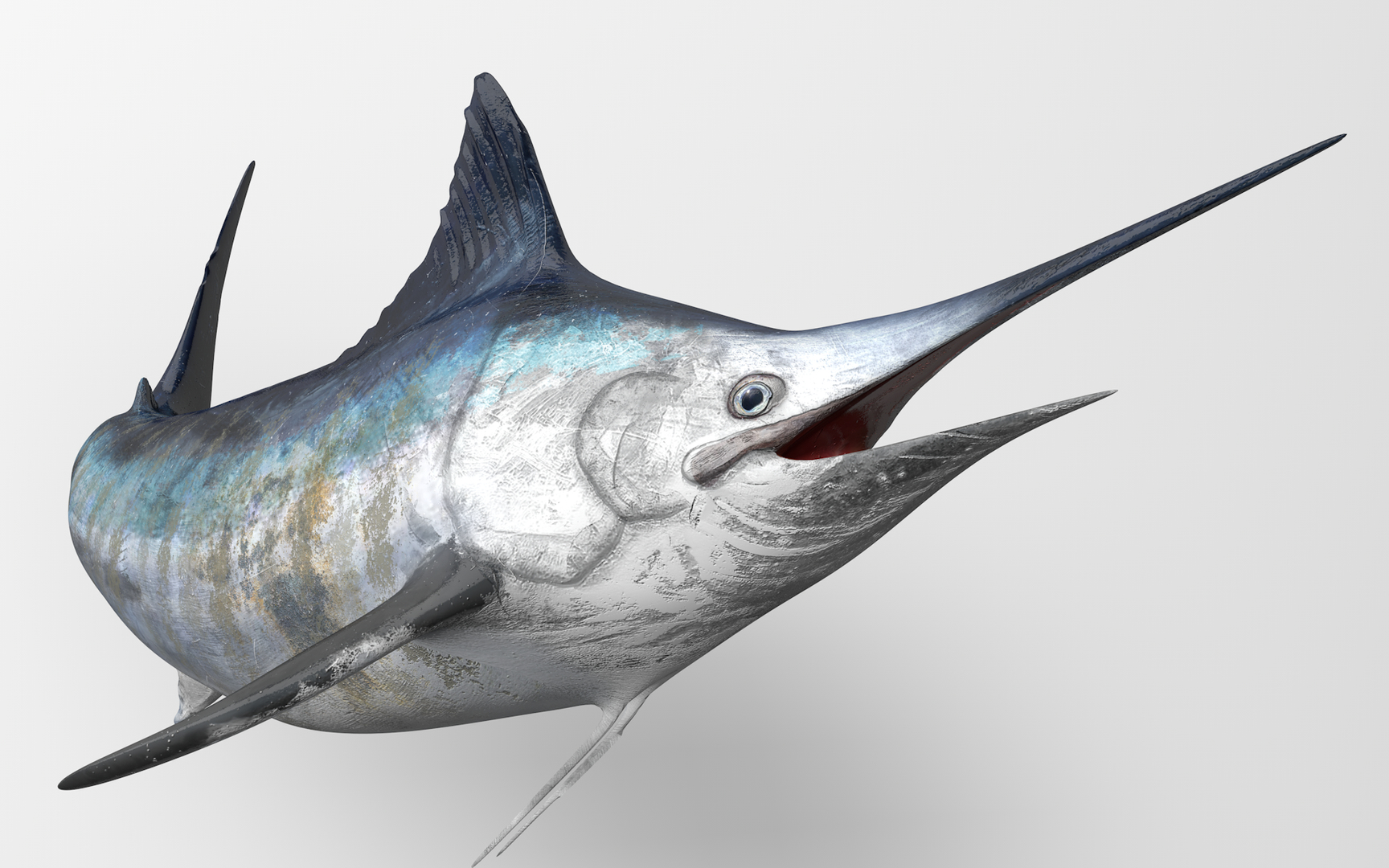 3D Marlin Rigged L1593 - TurboSquid 1826588