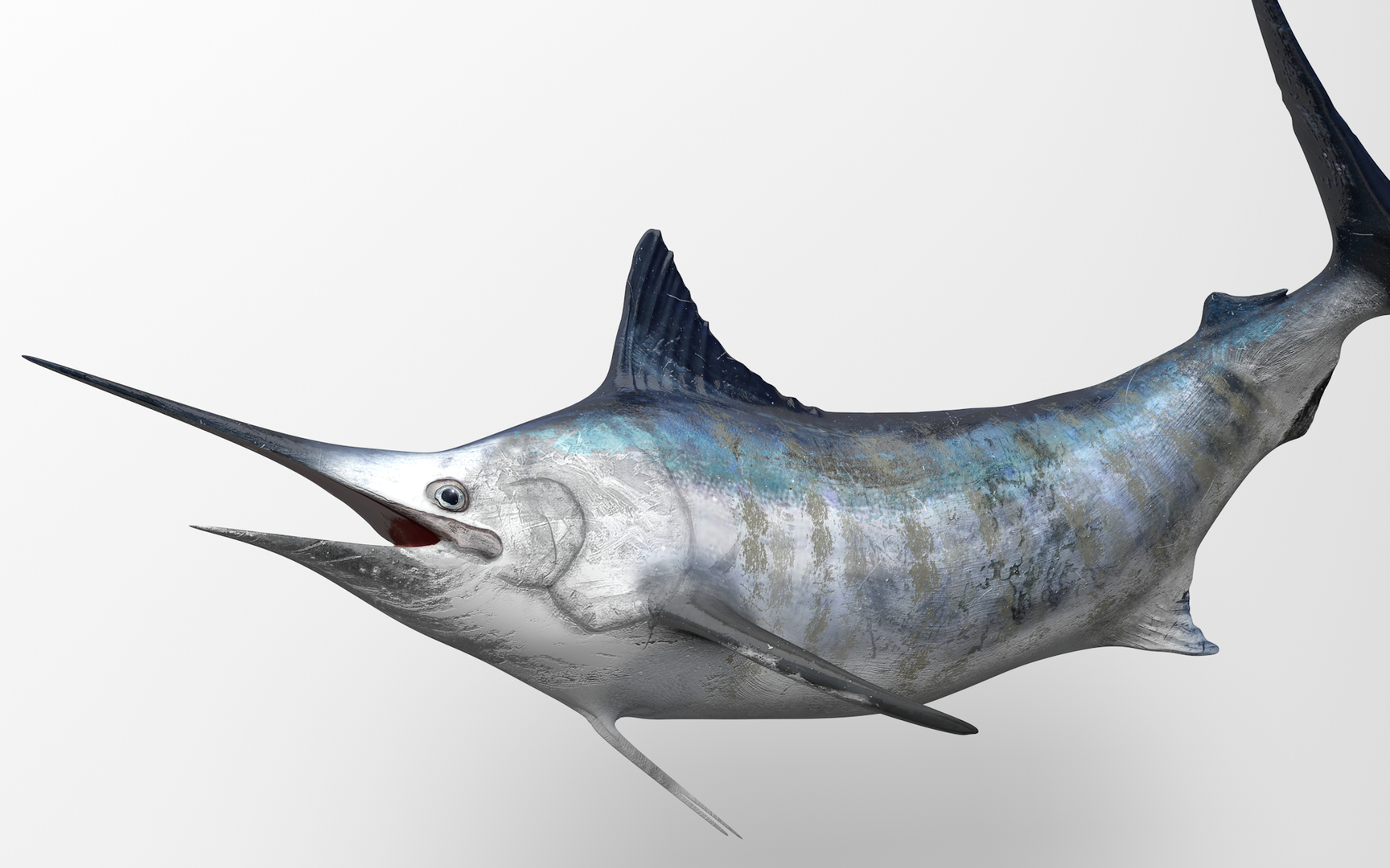 3D Marlin Rigged L1593 - TurboSquid 1826588