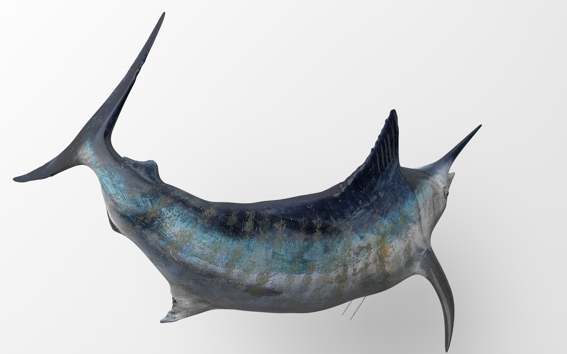 3D Marlin Rigged L1593 - TurboSquid 1826588