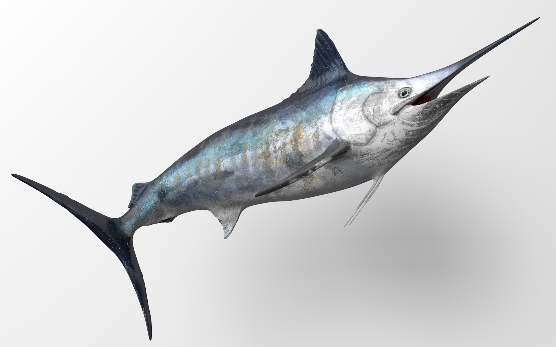 3D Marlin Rigged L1593 - TurboSquid 1826588