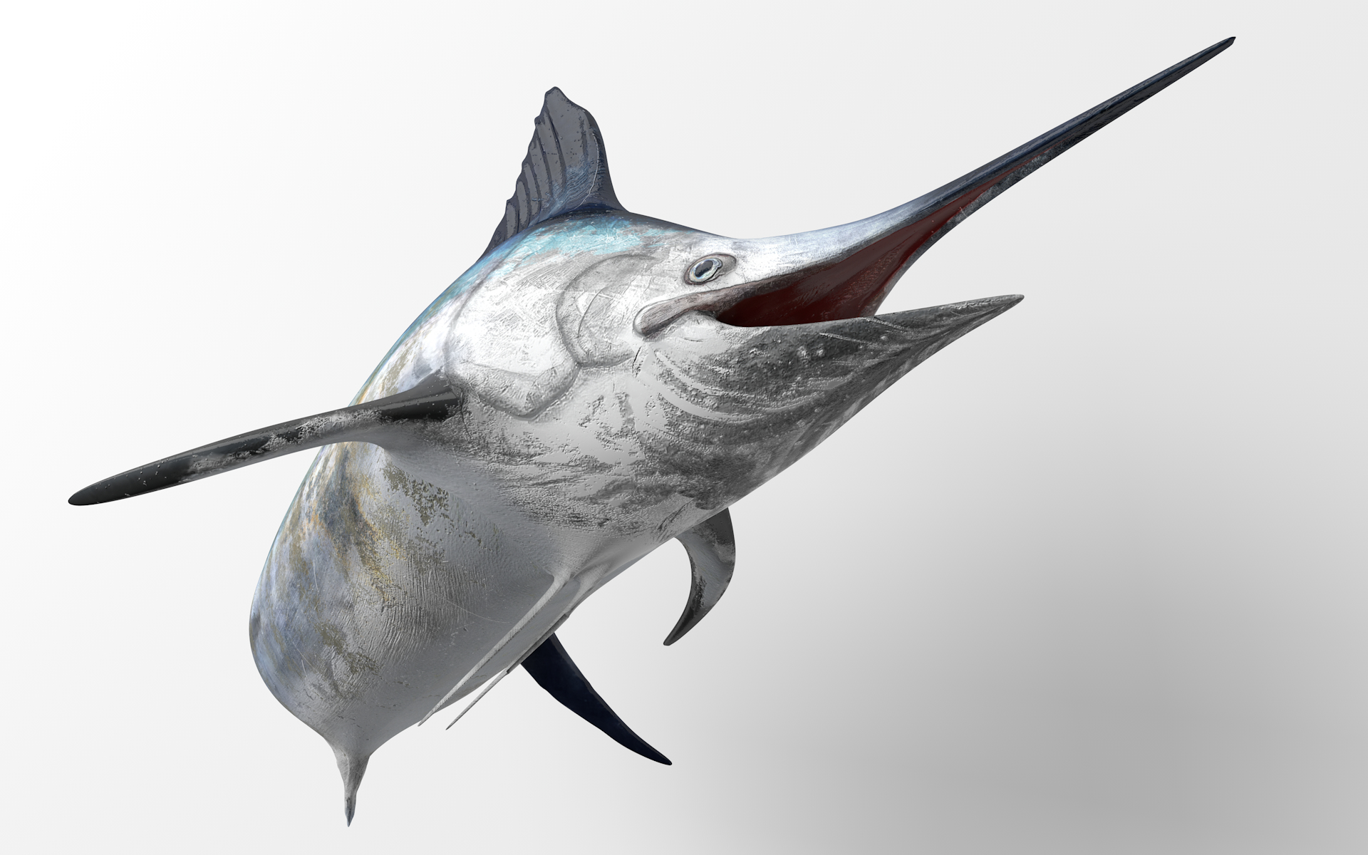 3D Marlin Rigged L1593 - TurboSquid 1826588