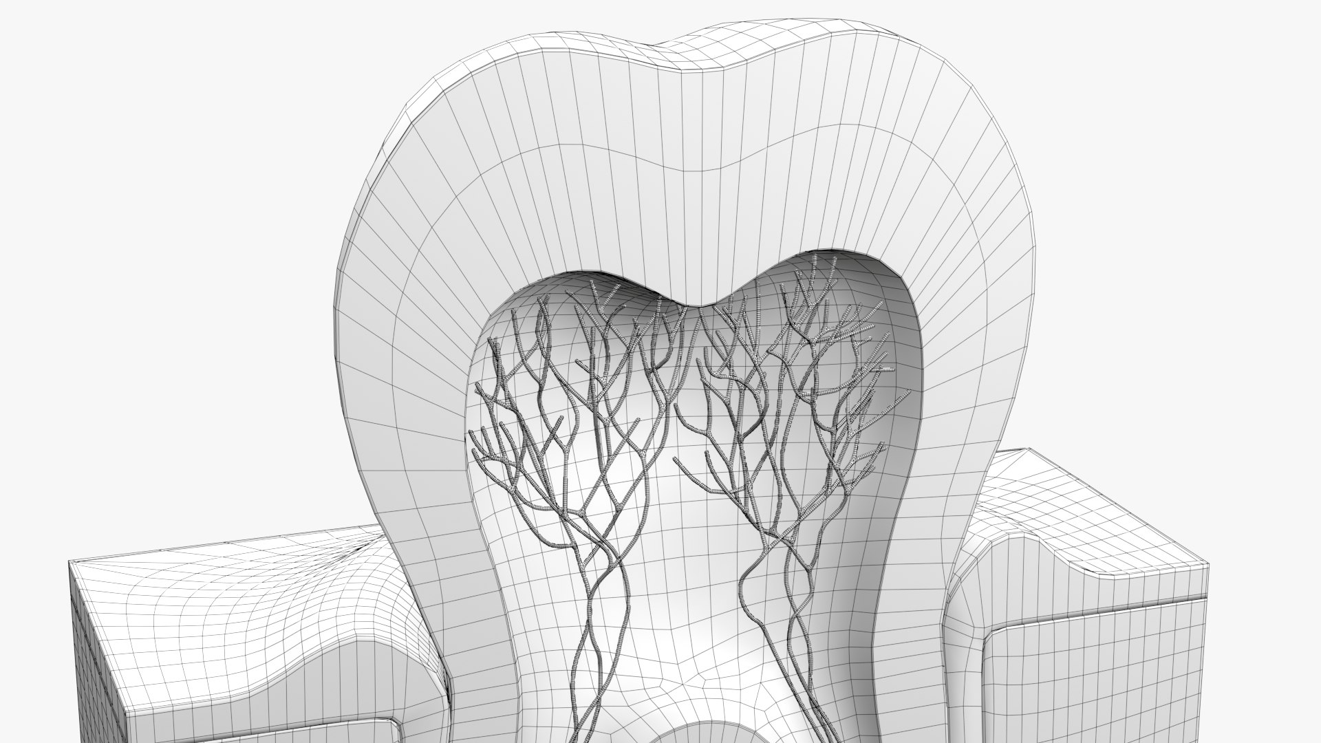 3D Tooth Molar Anatomy Sctructure Model - TurboSquid 1846713