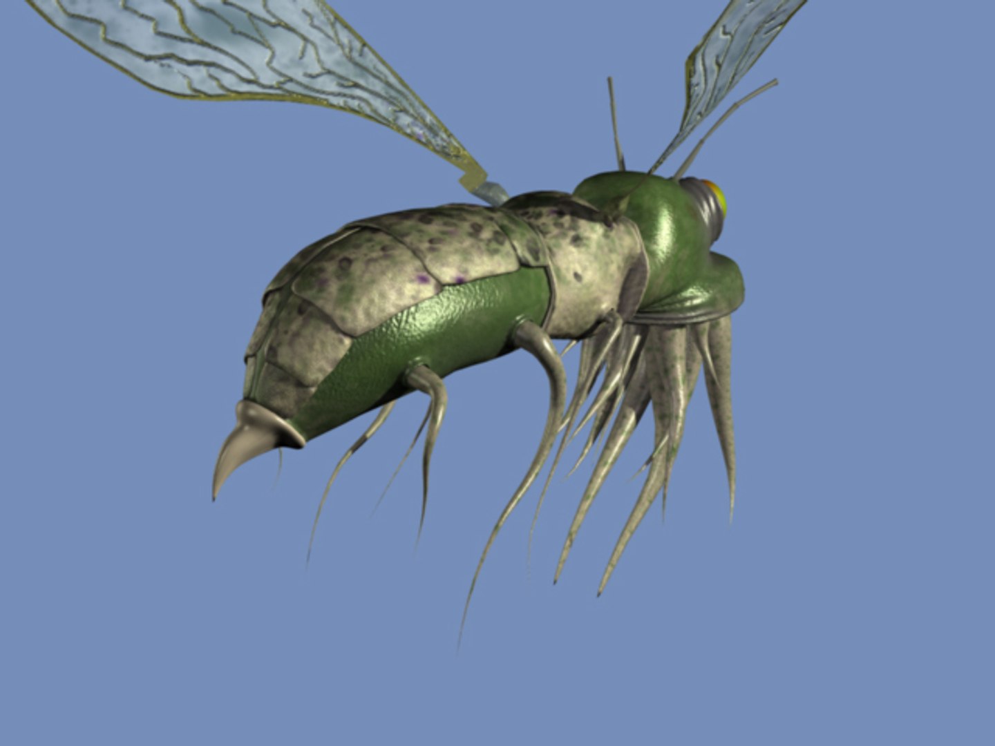 3d Bug Model