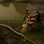 Pond Swamp Scene Forest 3D Model - TurboSquid 1151170
