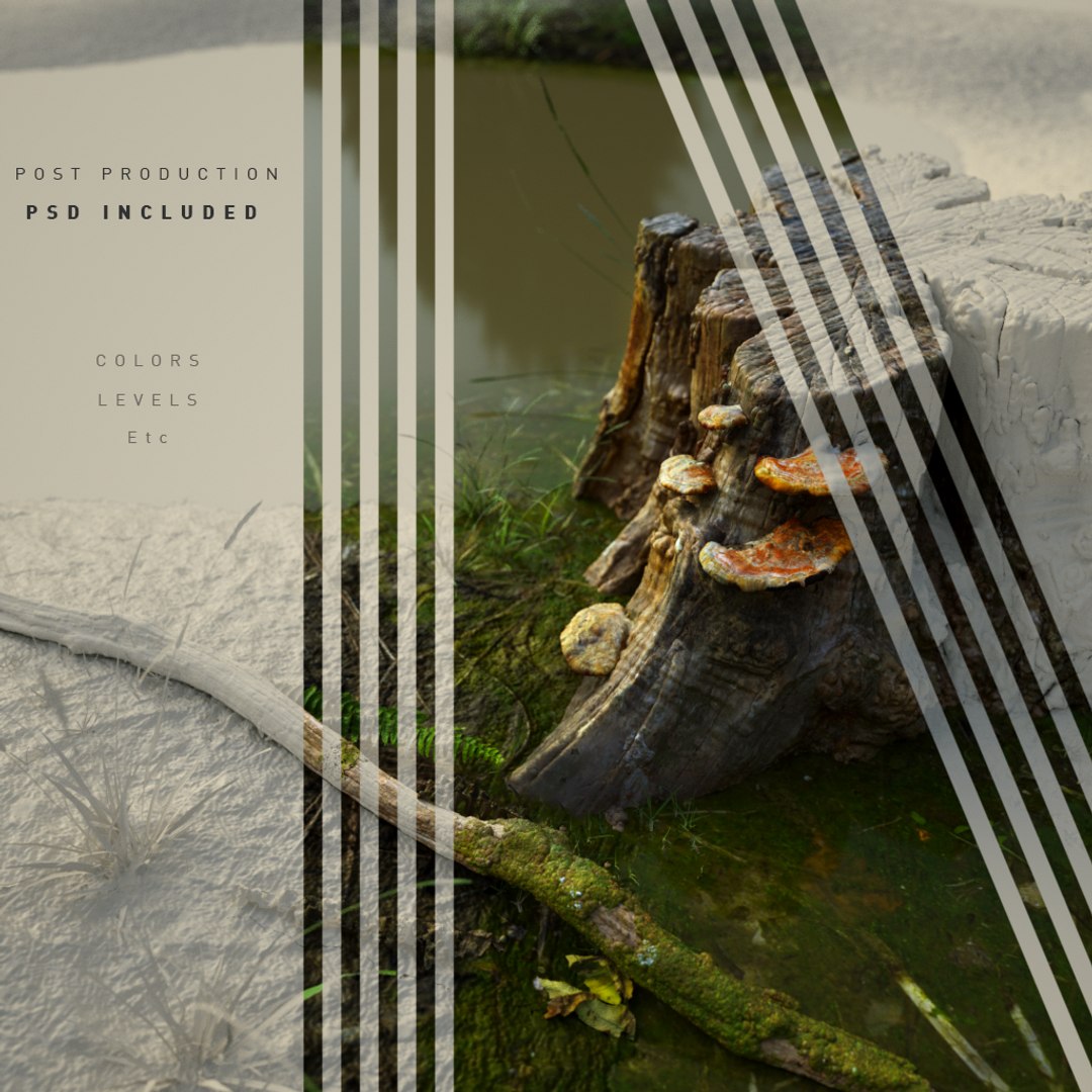 Pond Swamp Scene Forest 3D Model - TurboSquid 1151170