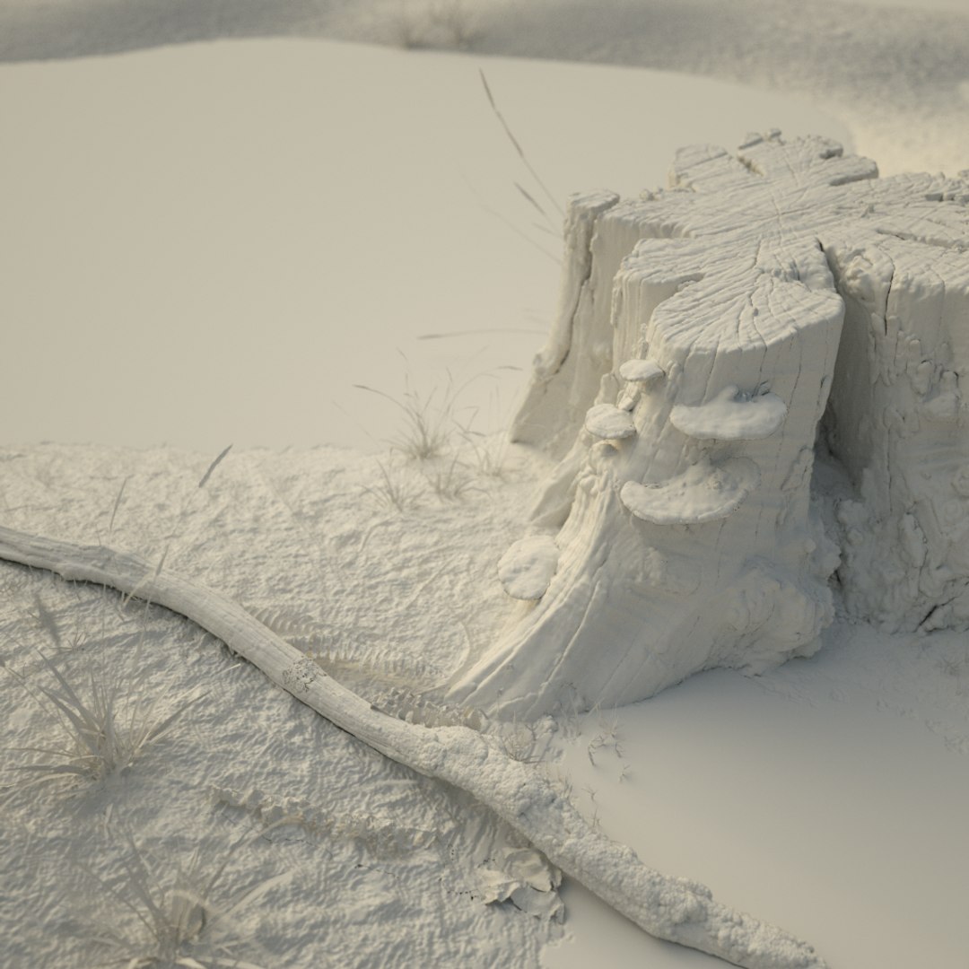 Pond Swamp Scene Forest 3D Model - TurboSquid 1151170