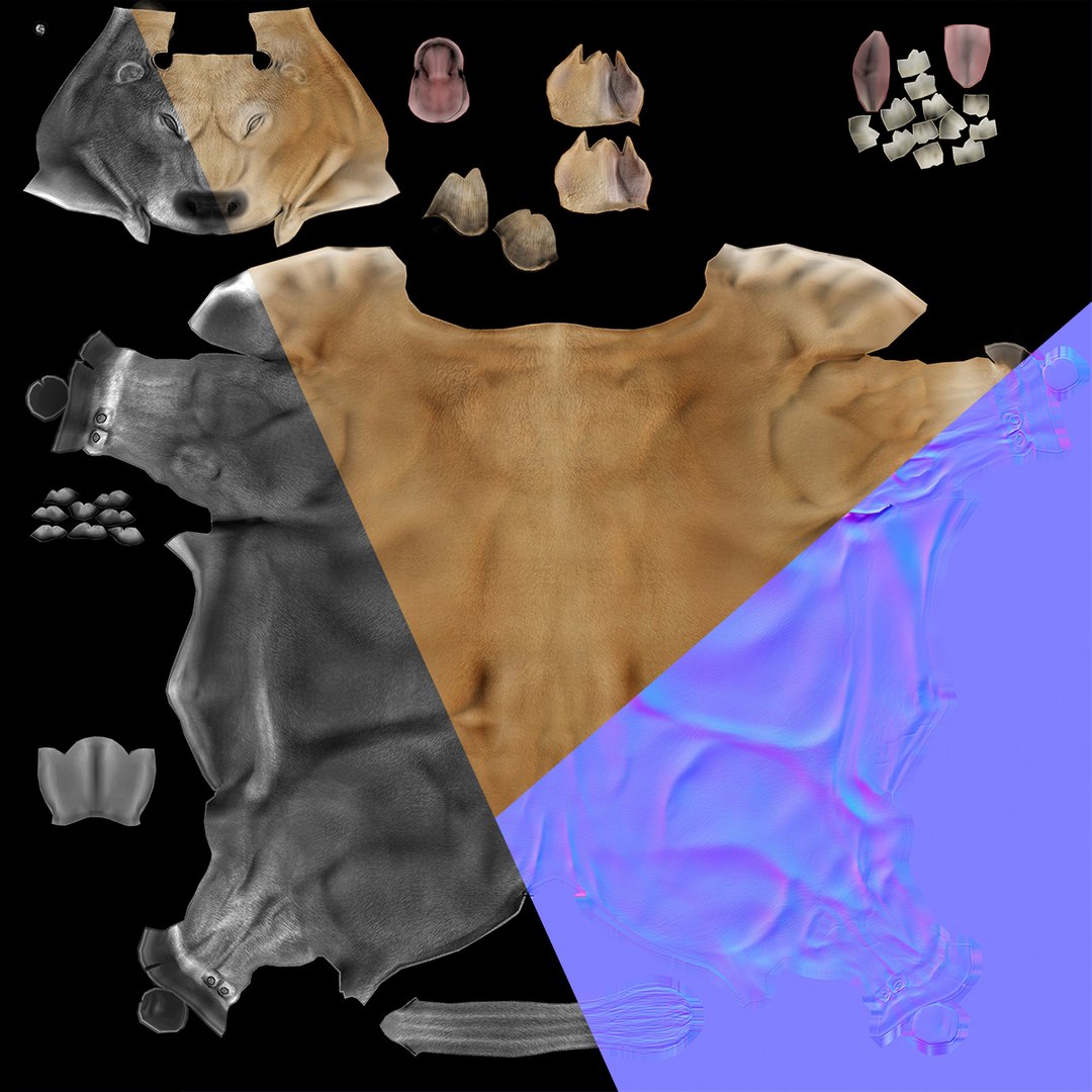 Bodacious Bull Buck Model - TurboSquid 1398549