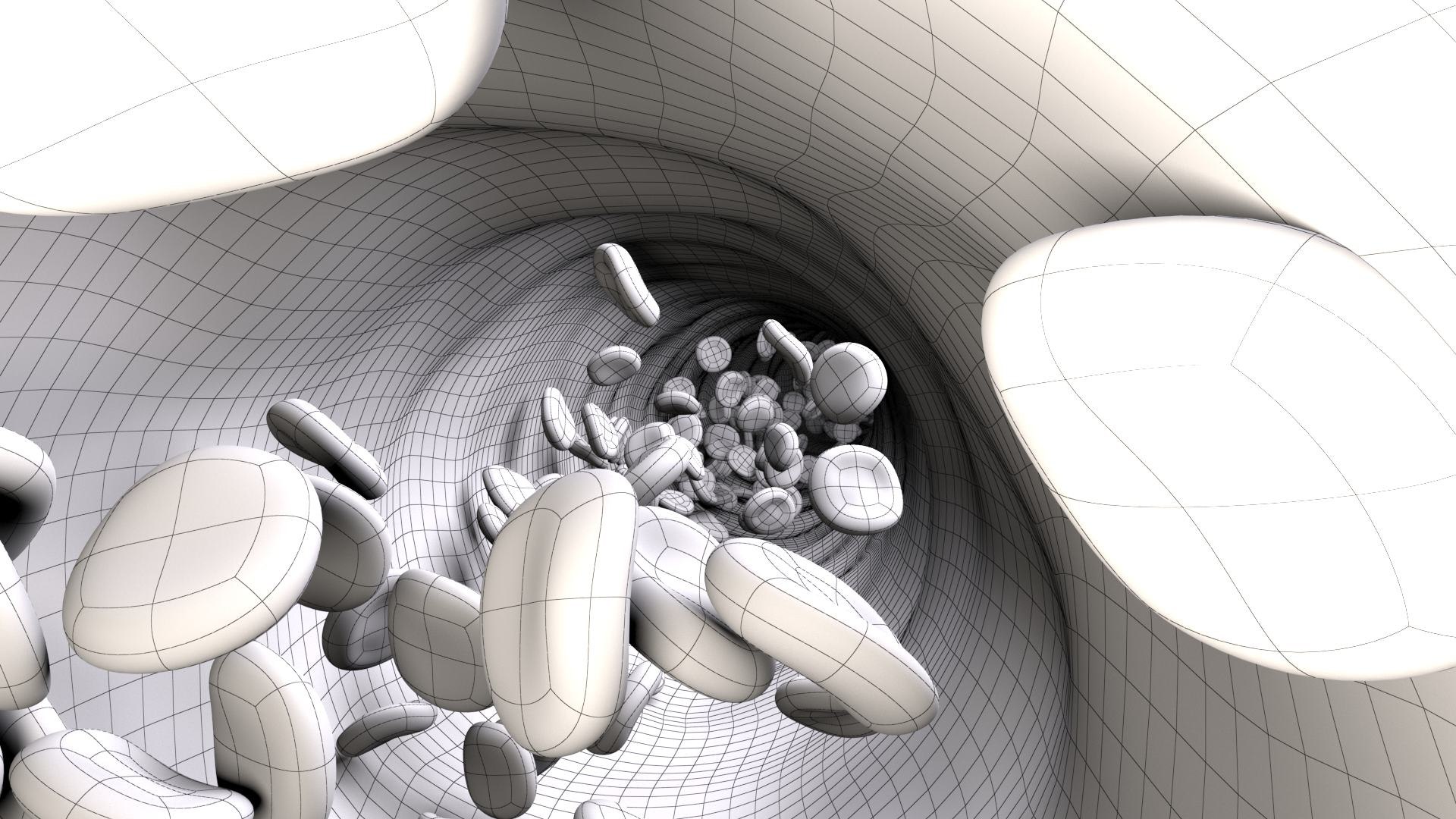 3D model Blood Cells flowing Animation - TurboSquid 1810860