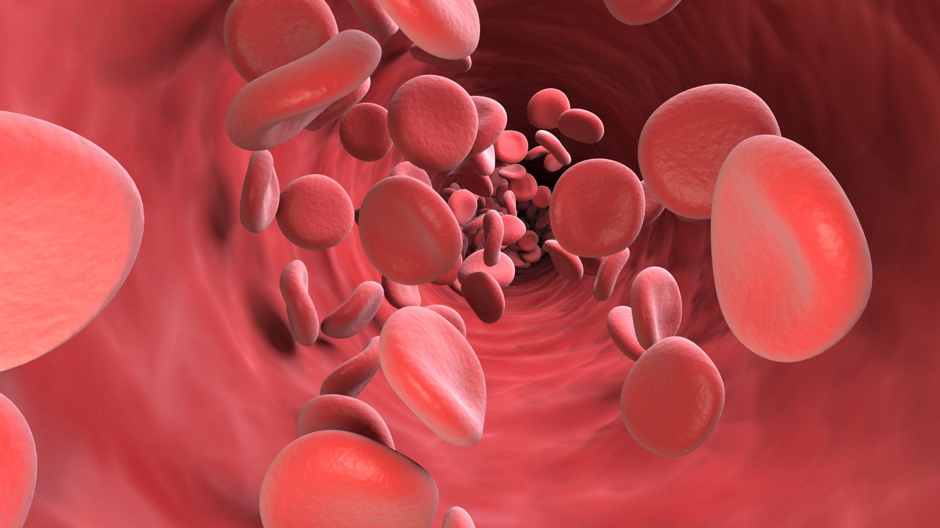 3D model Blood Cells flowing Animation - TurboSquid 1810860