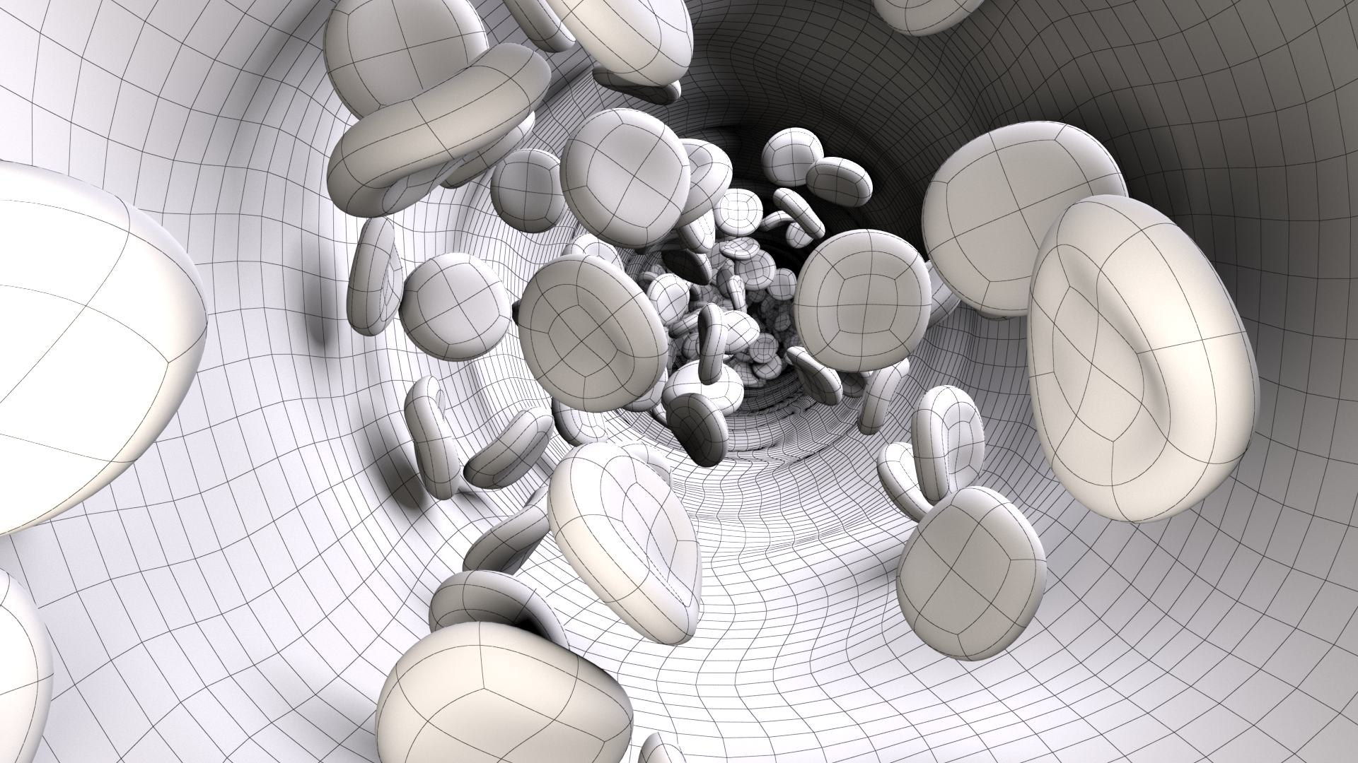 3D model Blood Cells flowing Animation - TurboSquid 1810860