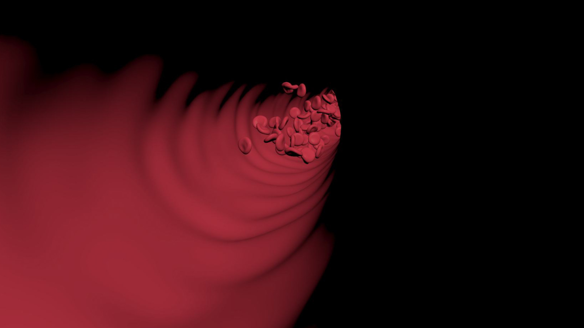 3D model Blood Cells flowing Animation - TurboSquid 1810860