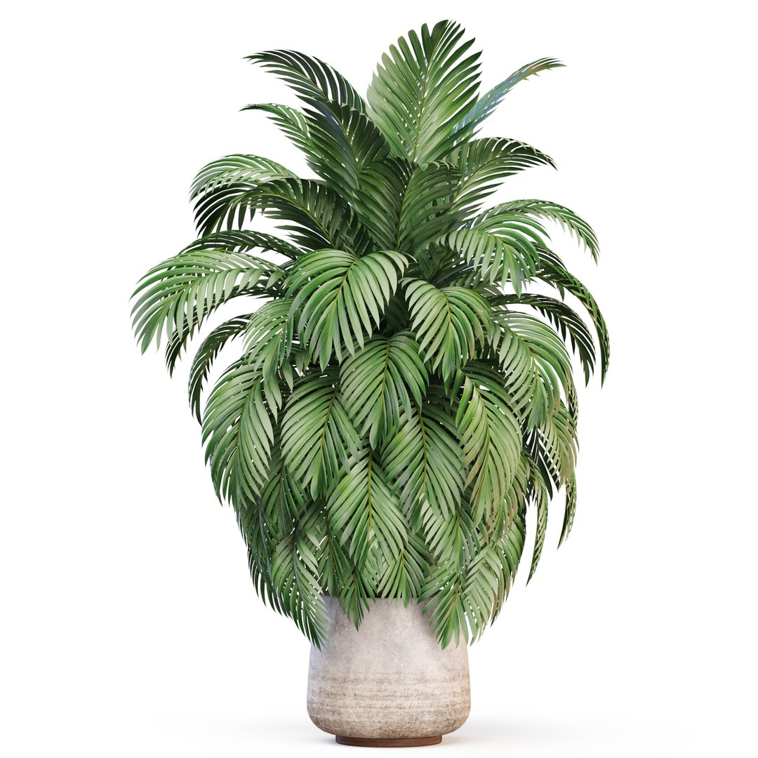 3D Plants collection 1020 model - TurboSquid 2167253