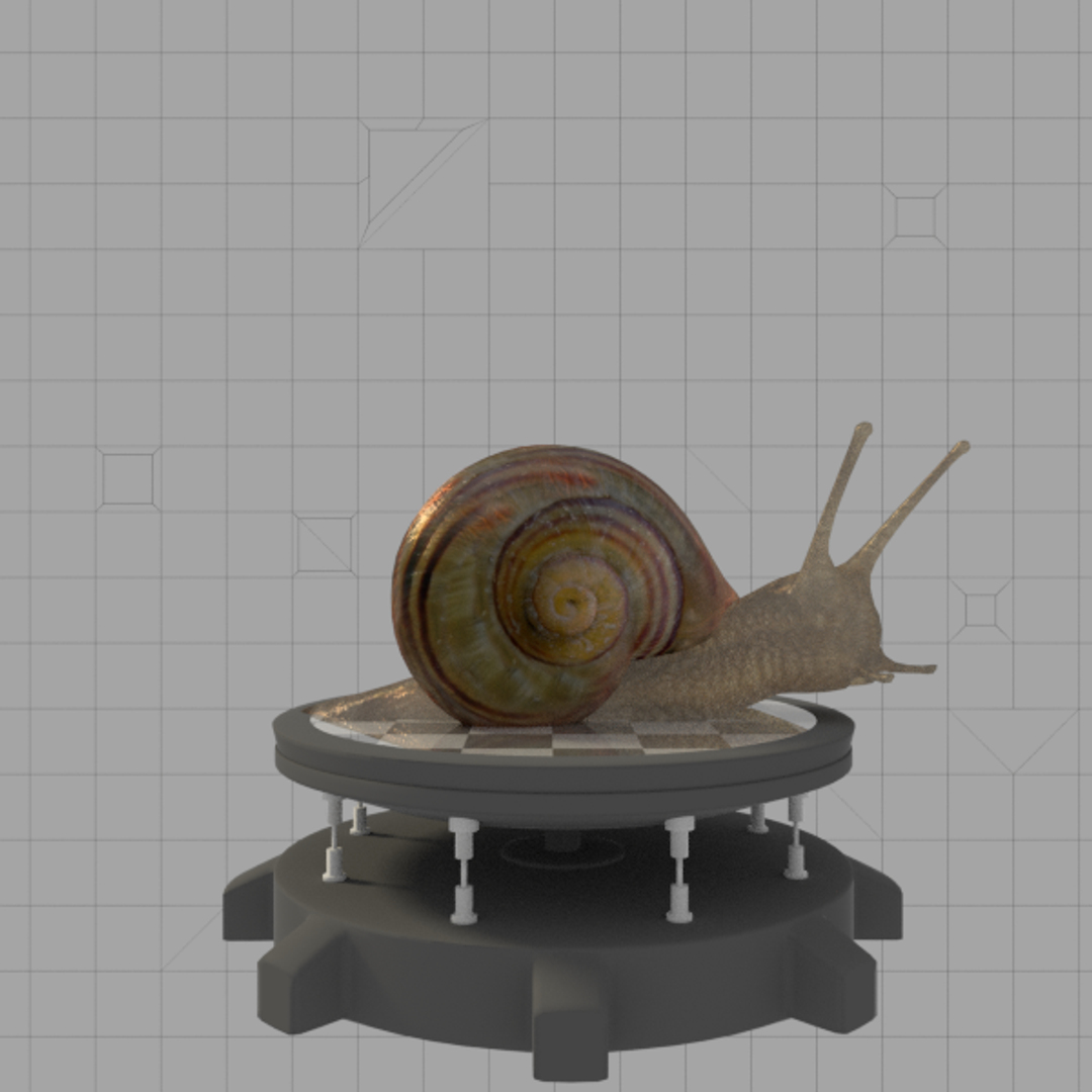 X Snail Helix Aspersa