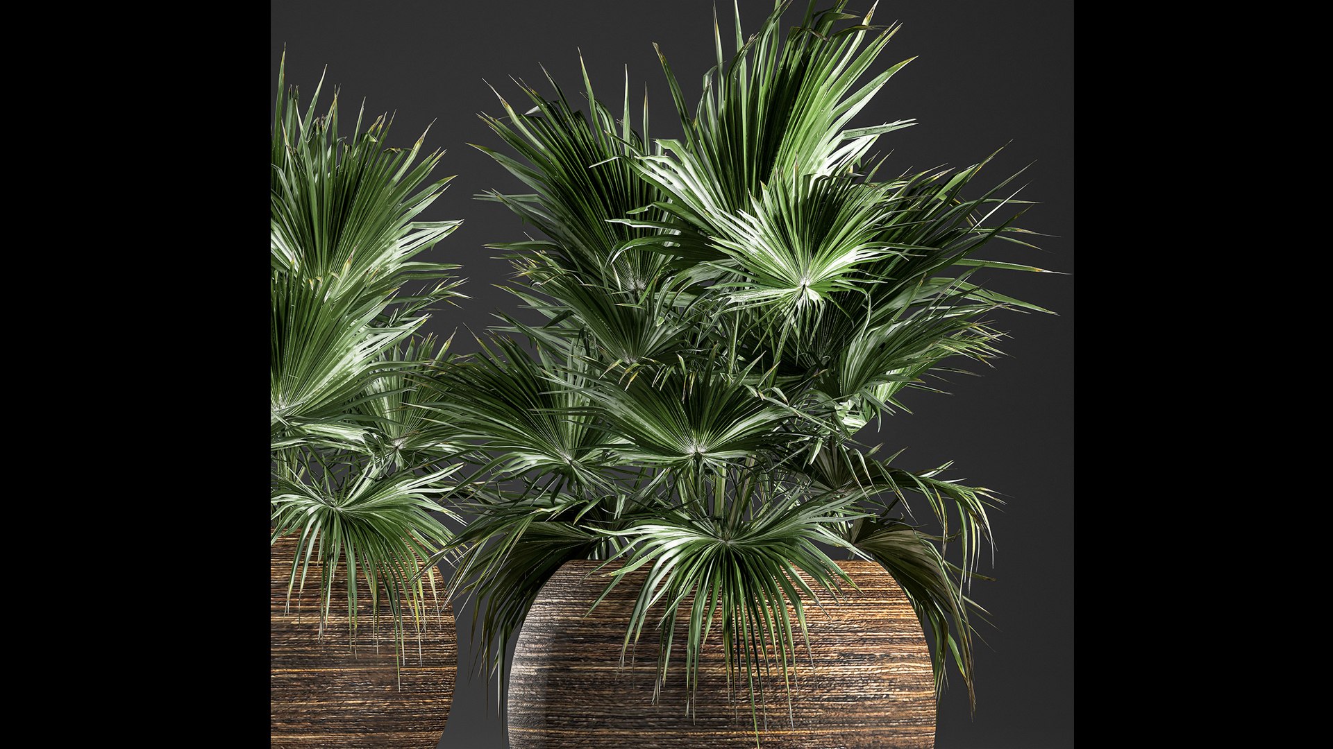 3D model palm basket - TurboSquid 1685220