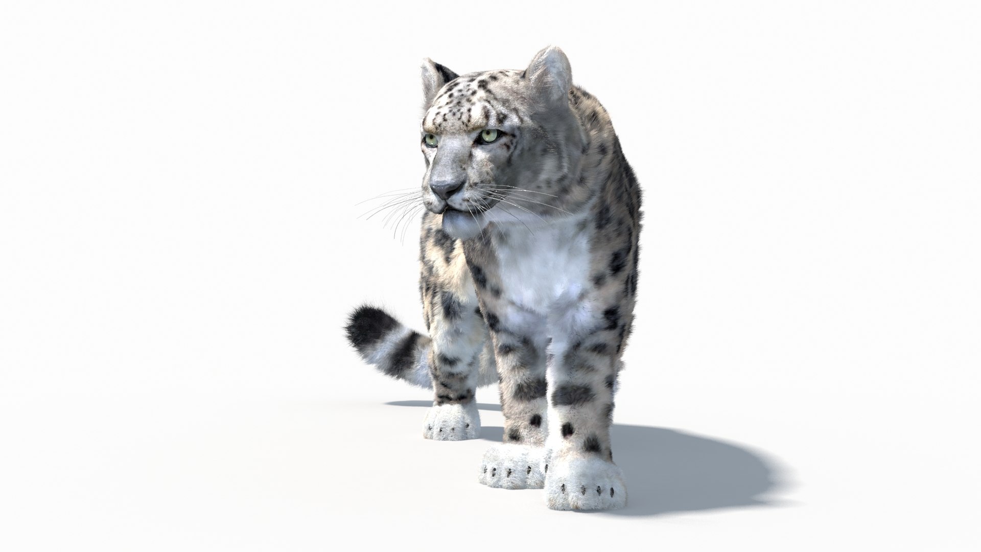3D snow leopard animation model - TurboSquid 1487680