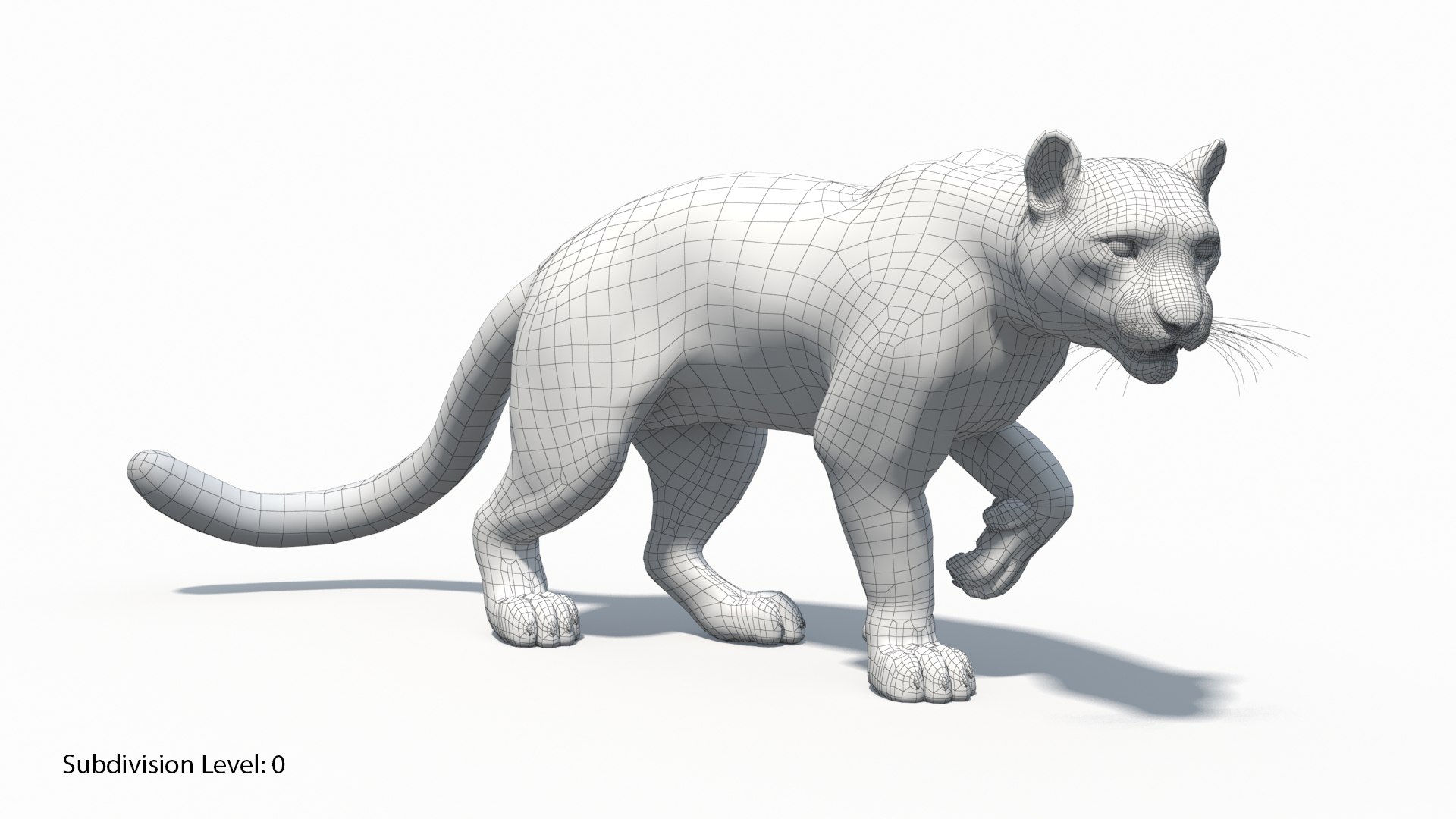 3D snow leopard animation model - TurboSquid 1487680