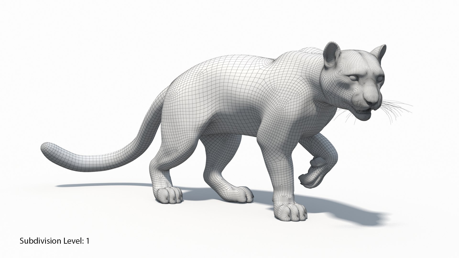 3D snow leopard animation model - TurboSquid 1487680