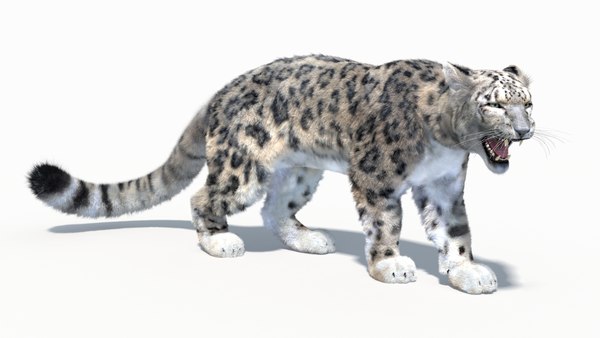 3D snow leopard animation model - TurboSquid 1487680