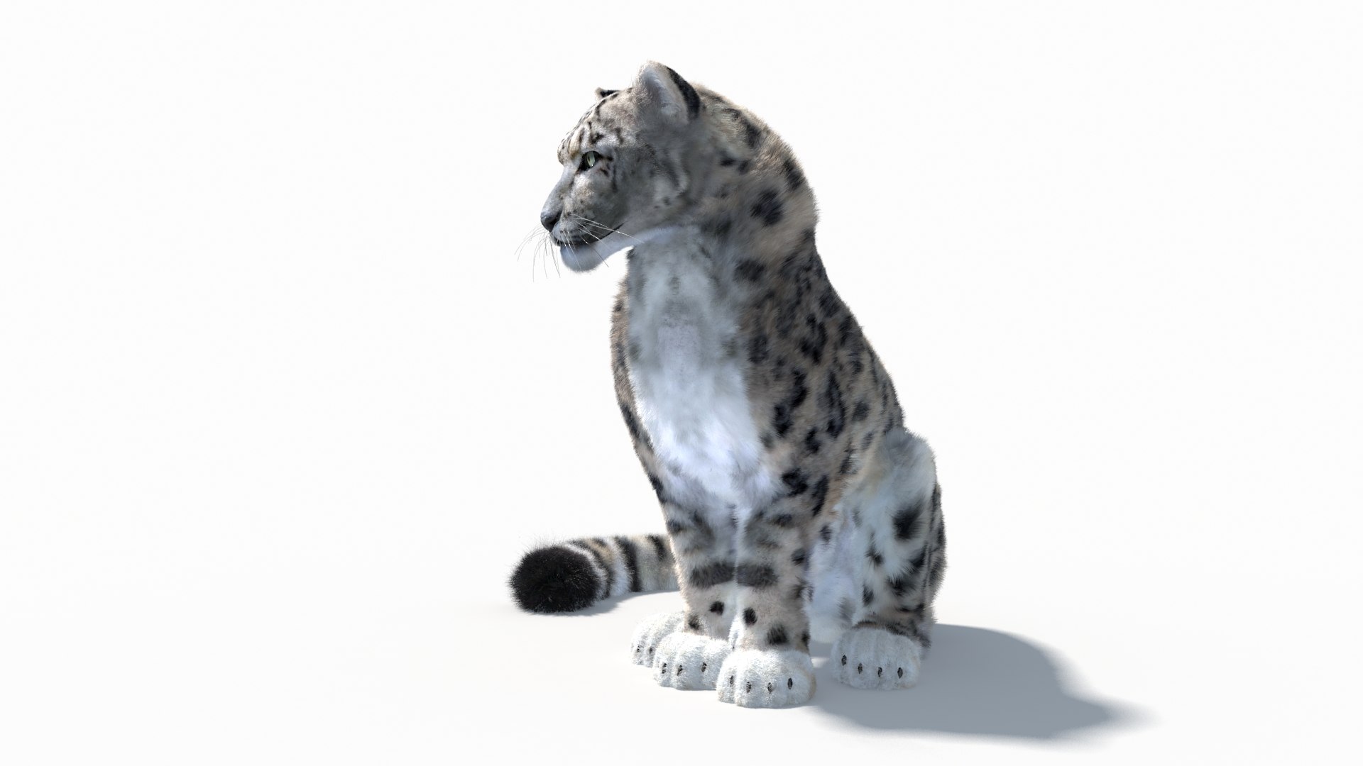 3D snow leopard animation model - TurboSquid 1487680
