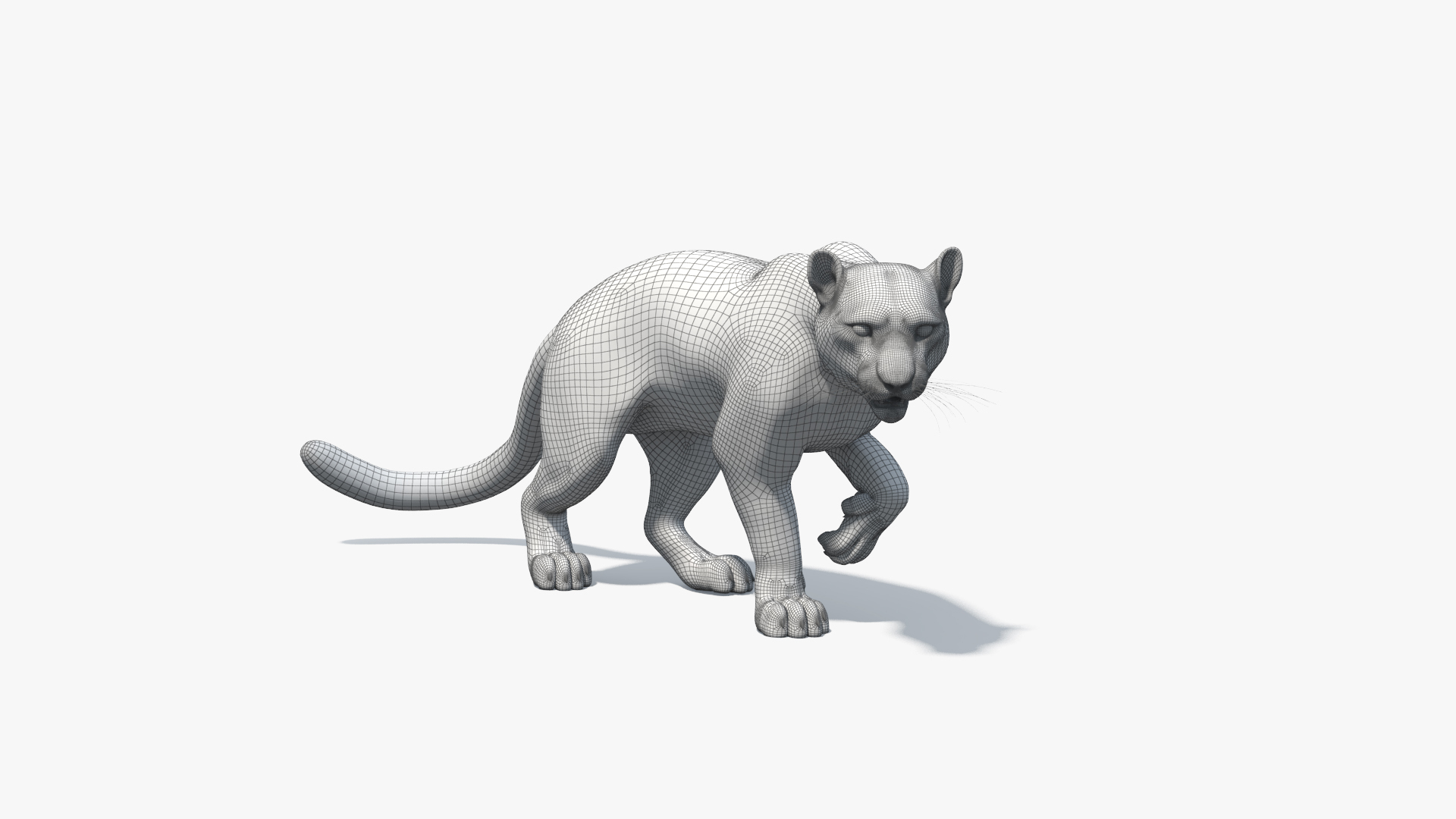 3D snow leopard animation model - TurboSquid 1487680