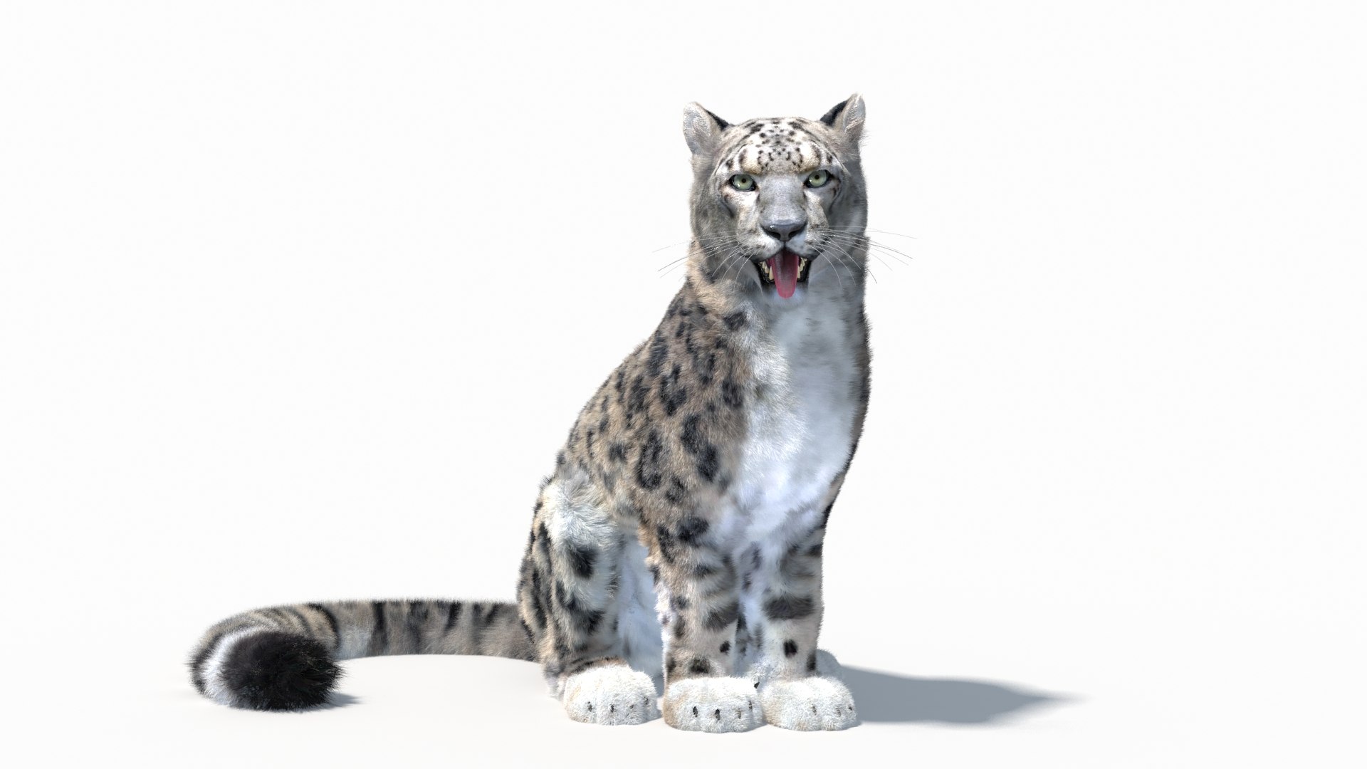 3D snow leopard animation model - TurboSquid 1487680