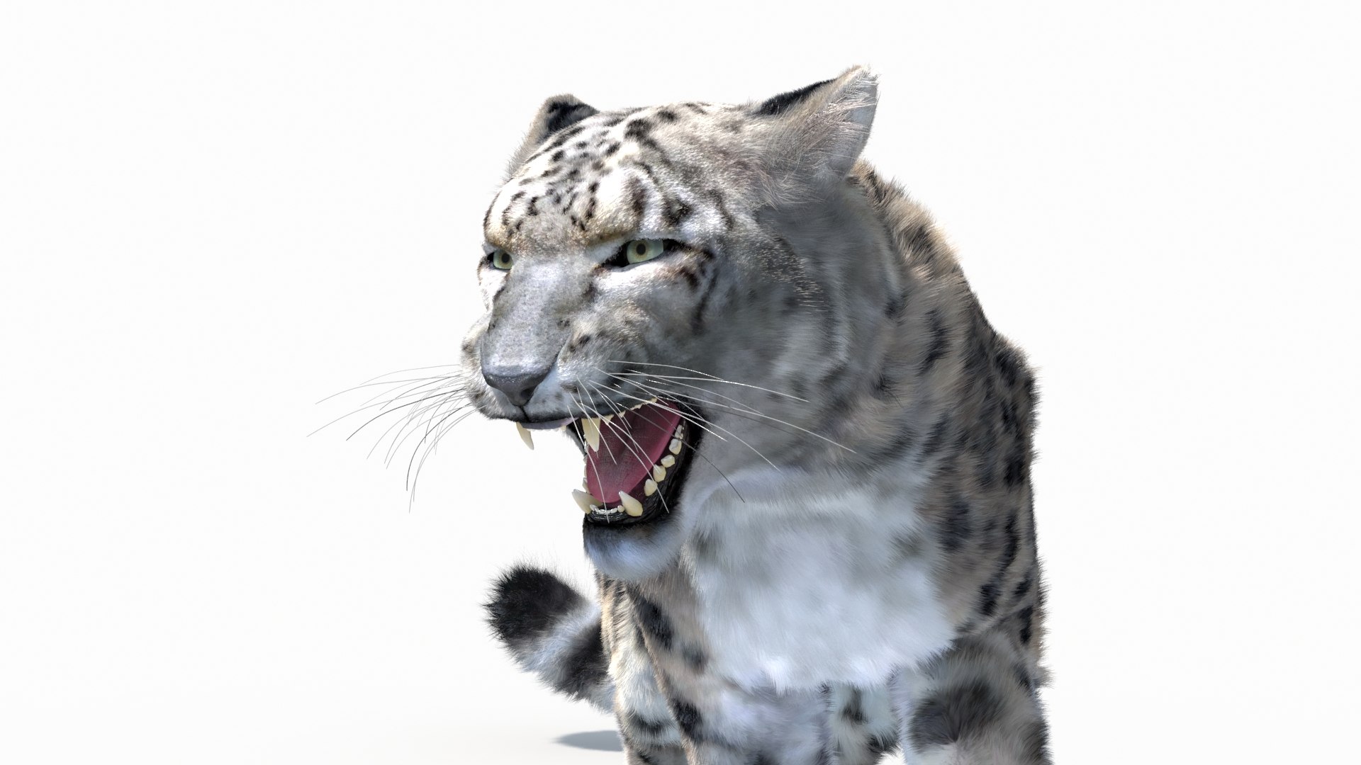3D snow leopard animation model - TurboSquid 1487680