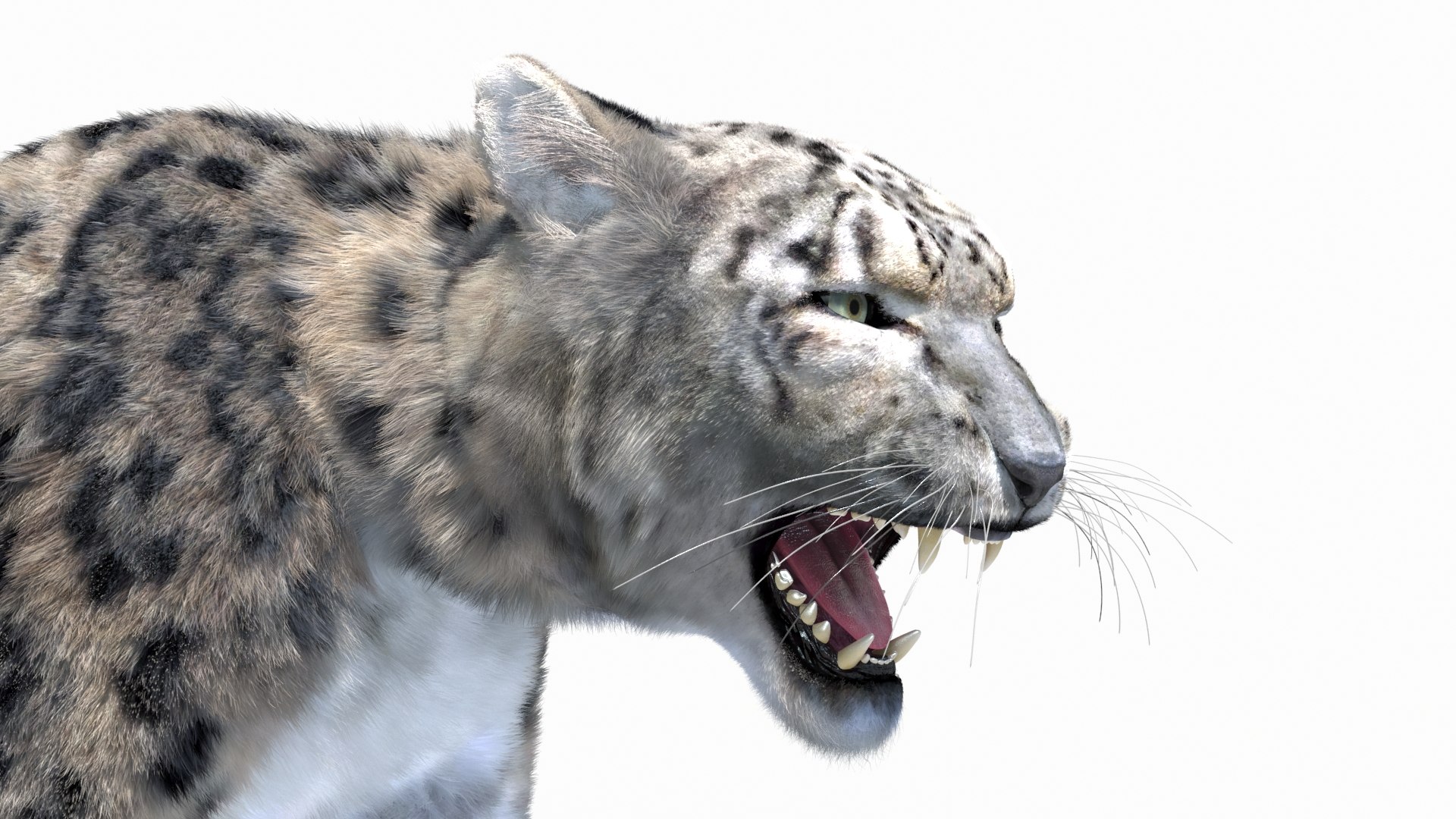 3D snow leopard animation model - TurboSquid 1487680