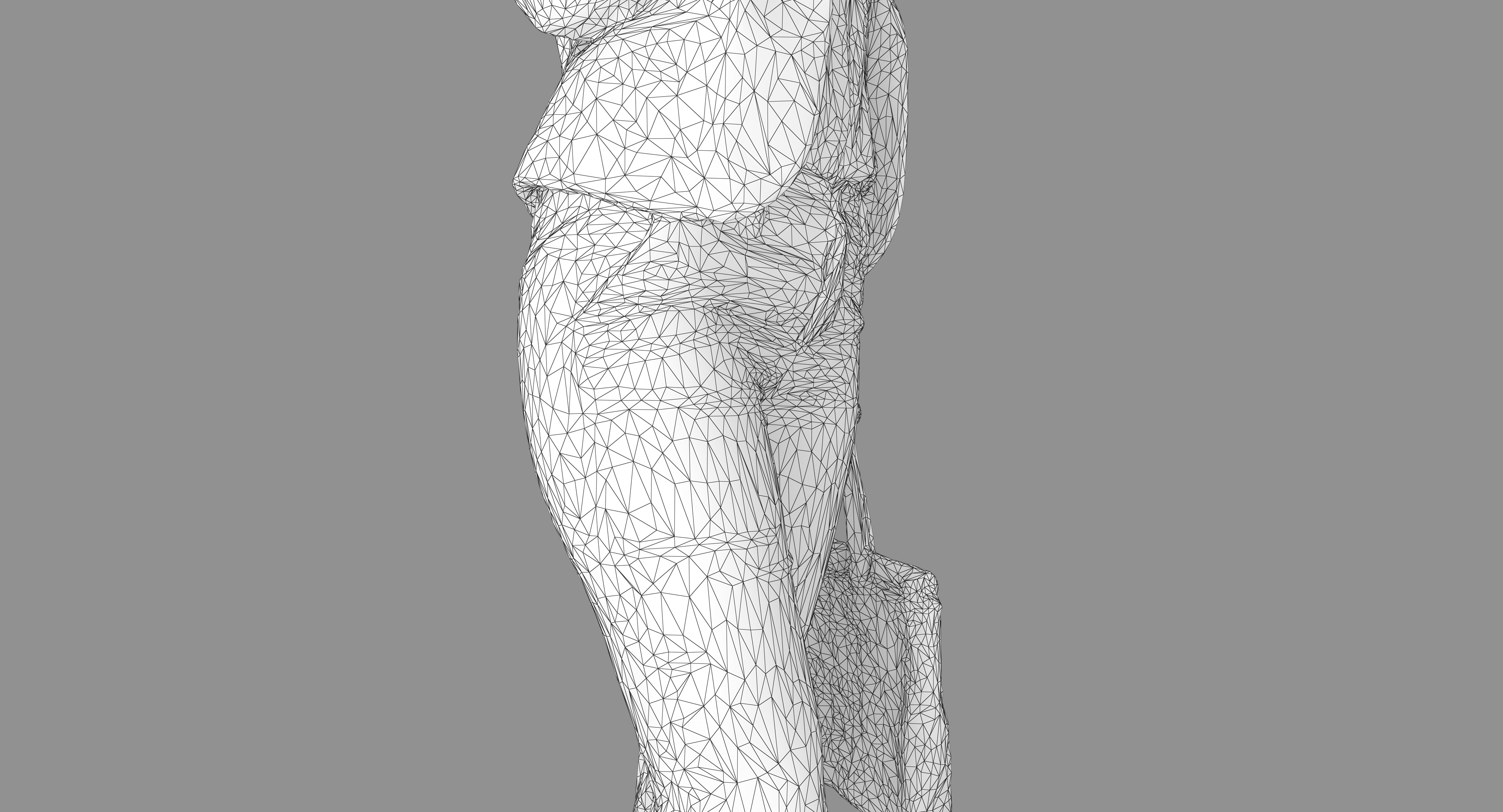 3d human body model