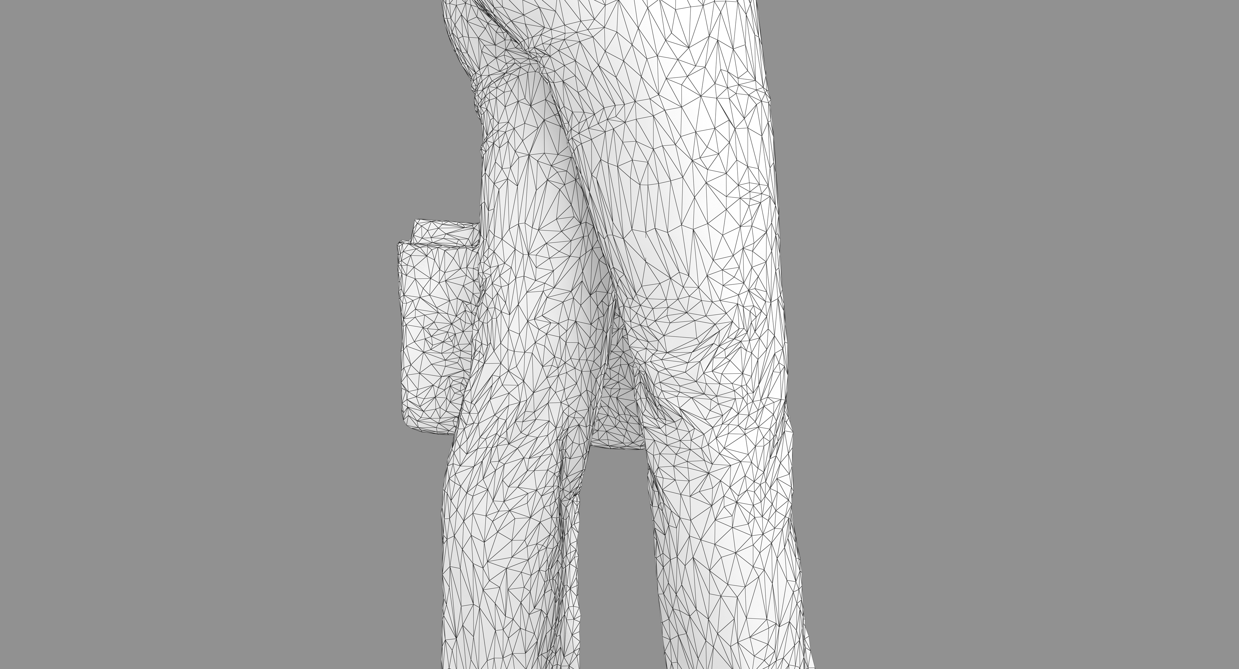 3d human body model