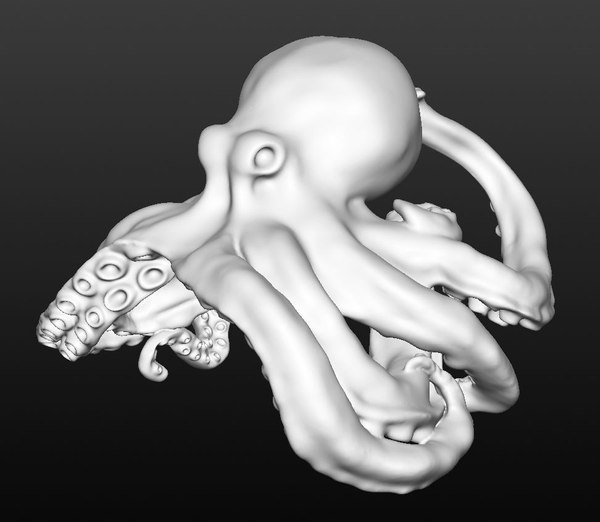 Octopus 3D Models for Download | TurboSquid