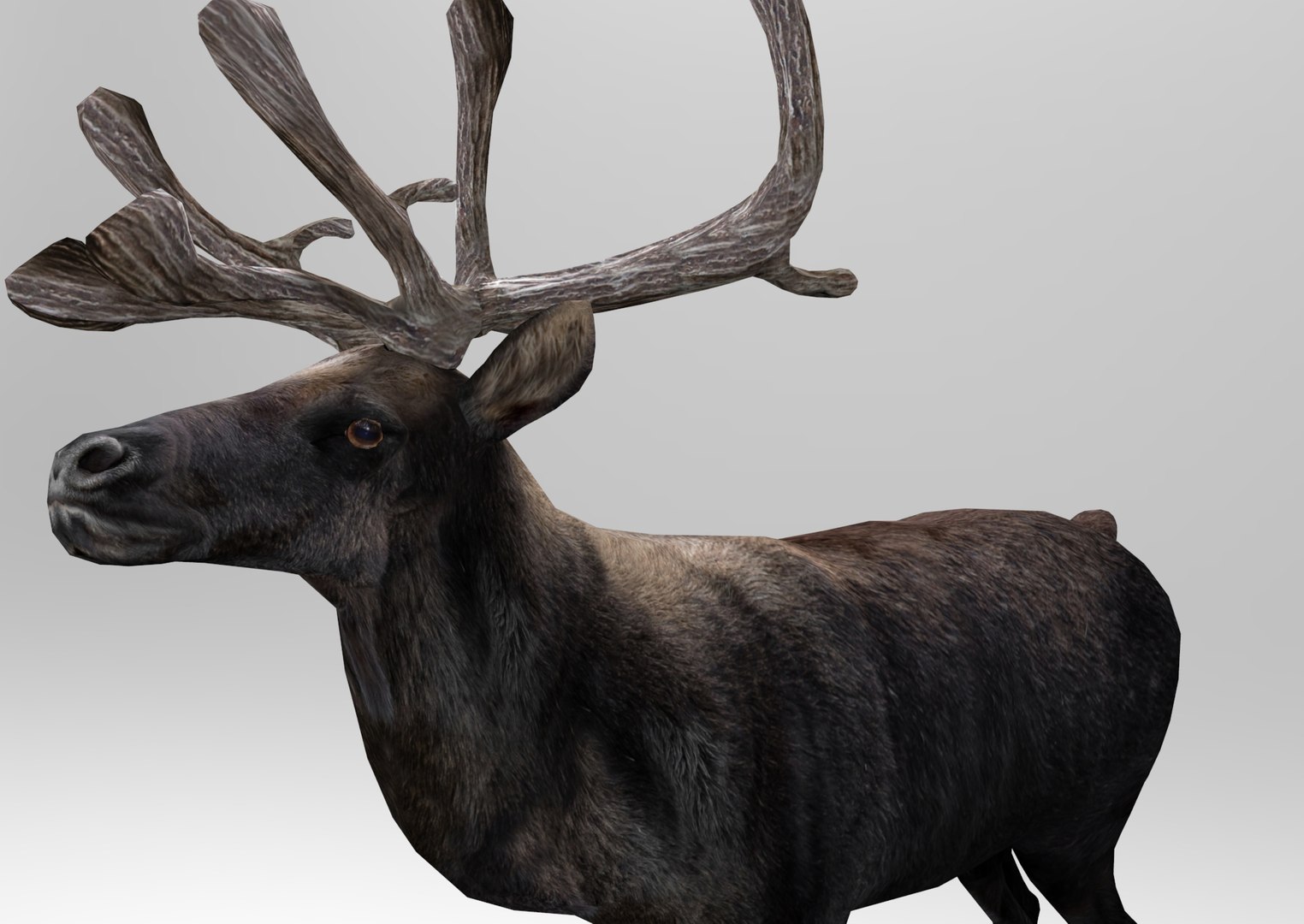 3d deer ready model