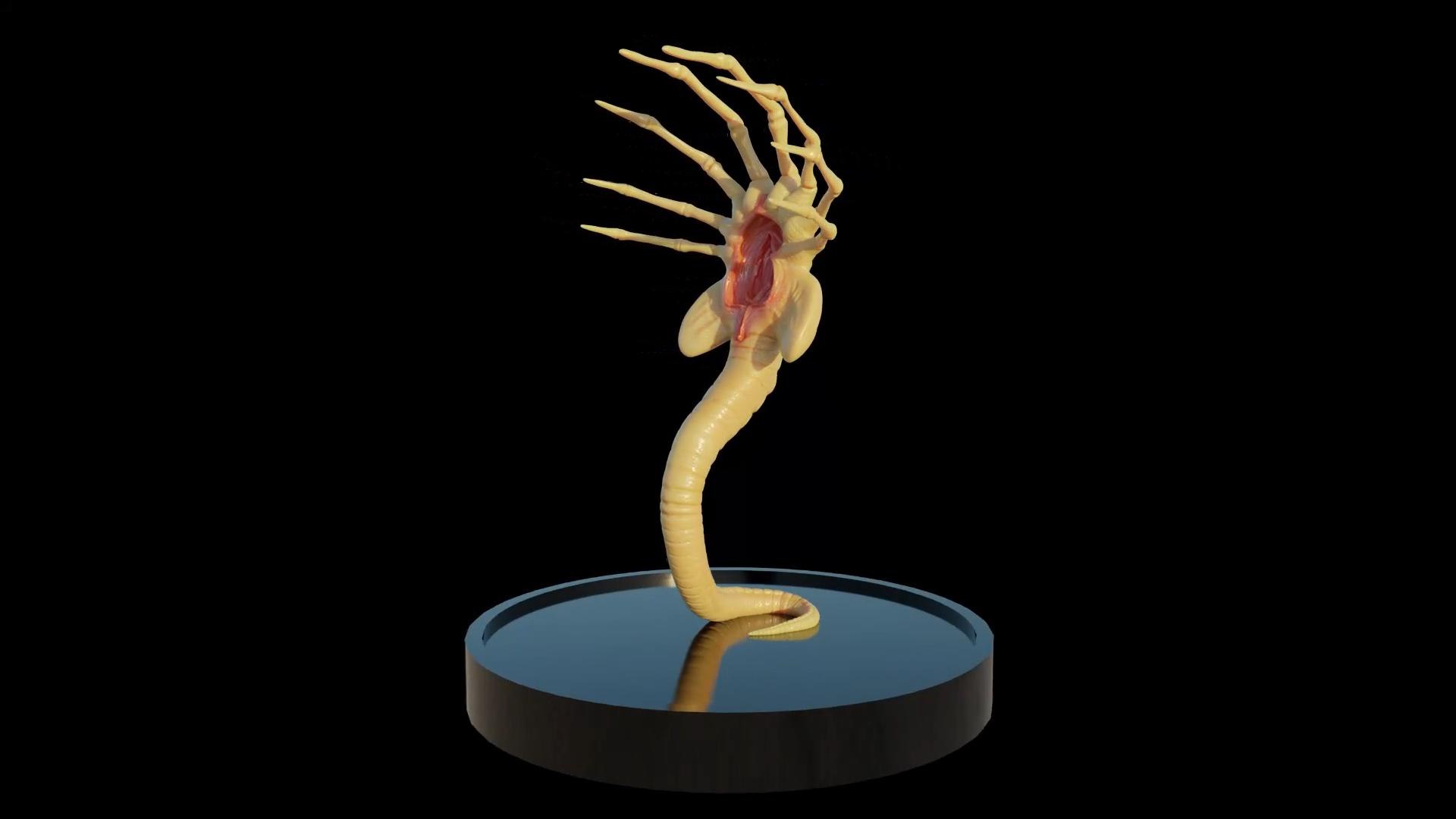 Alien Facehugger - Rigged 3D Model - TurboSquid 1825052