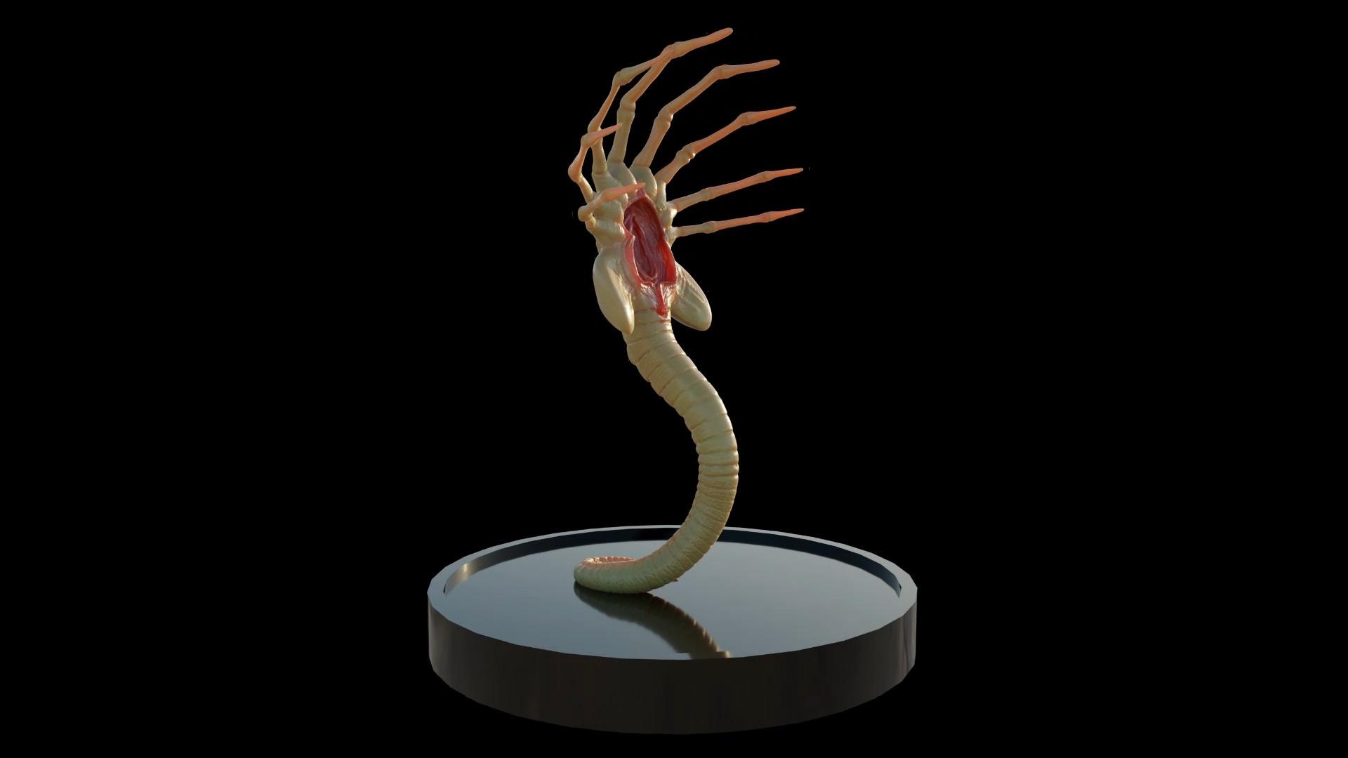 Alien Facehugger - Rigged 3D Model - TurboSquid 1825052
