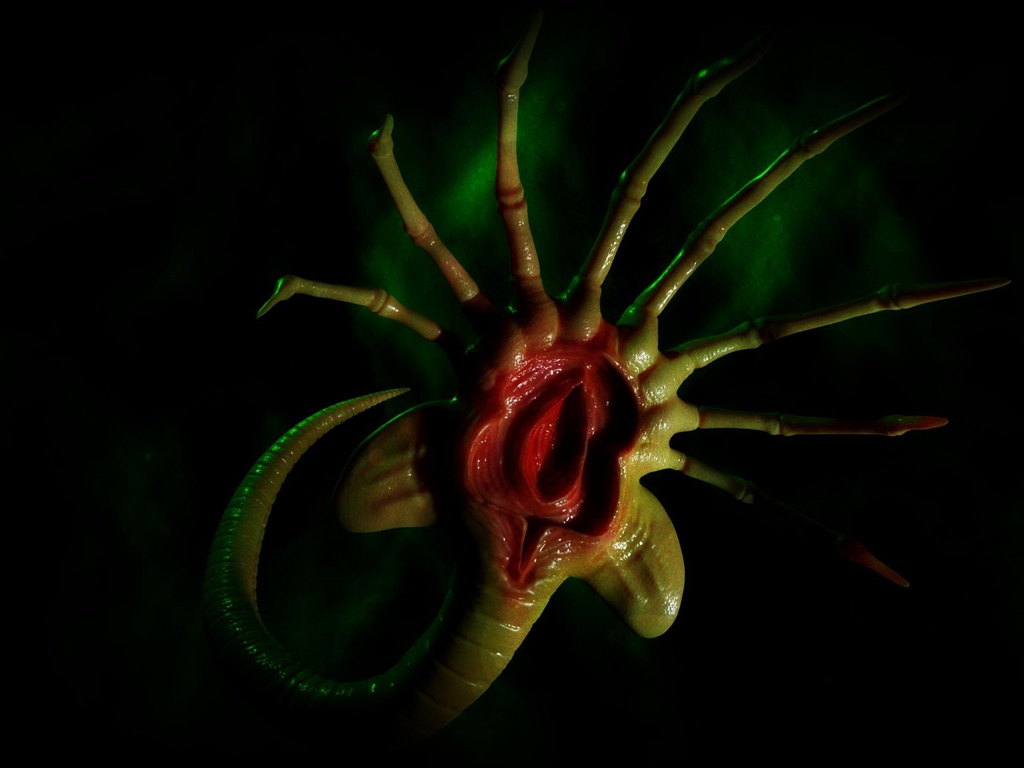 Alien Facehugger - Rigged 3D Model - TurboSquid 1825052